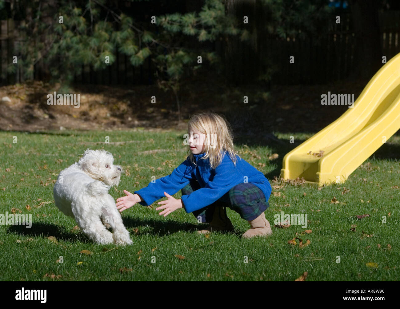 Child trying to catch her dog Stock Photo - Alamy