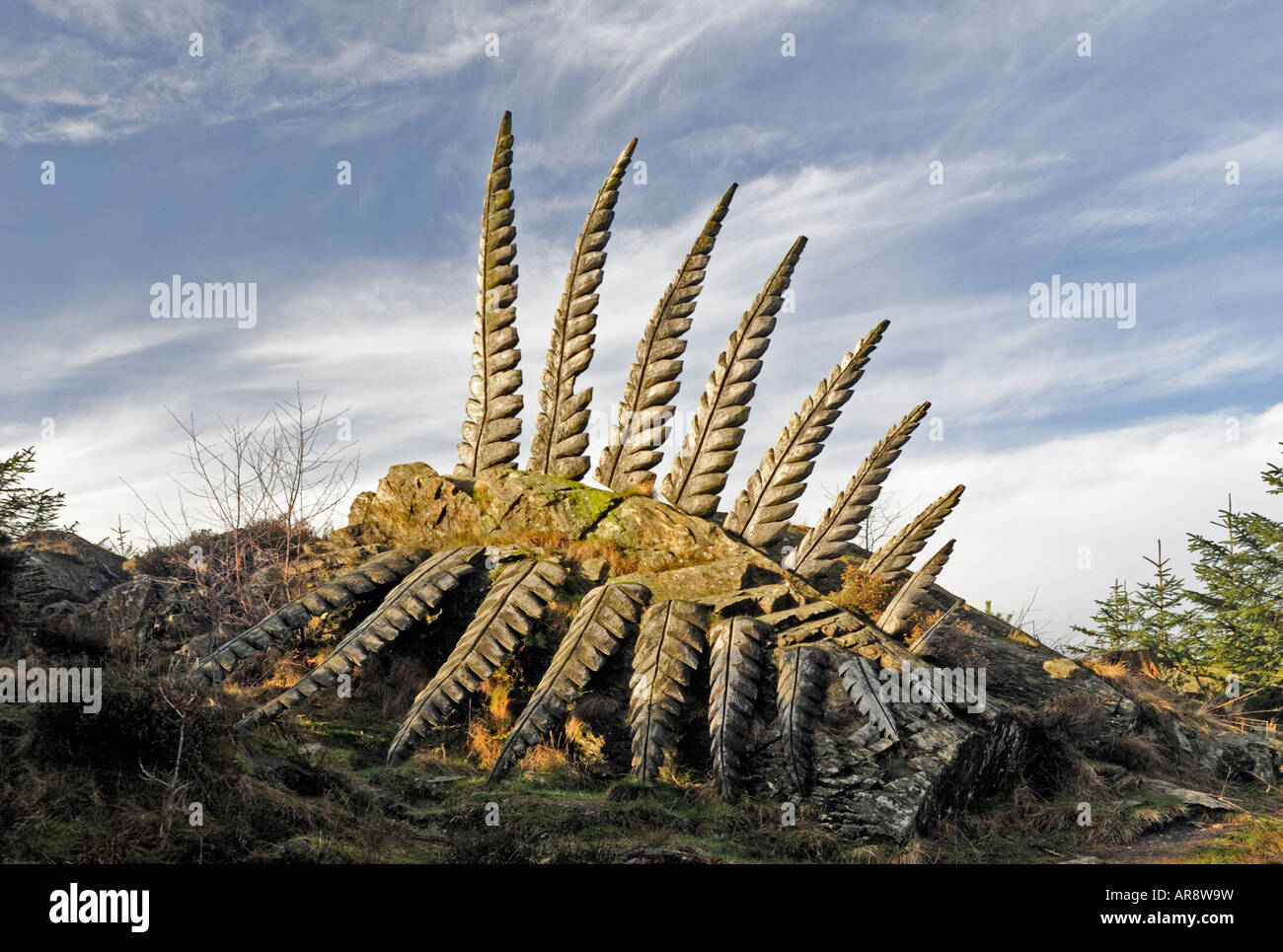 Kerry morrison hi-res stock photography and images - Alamy