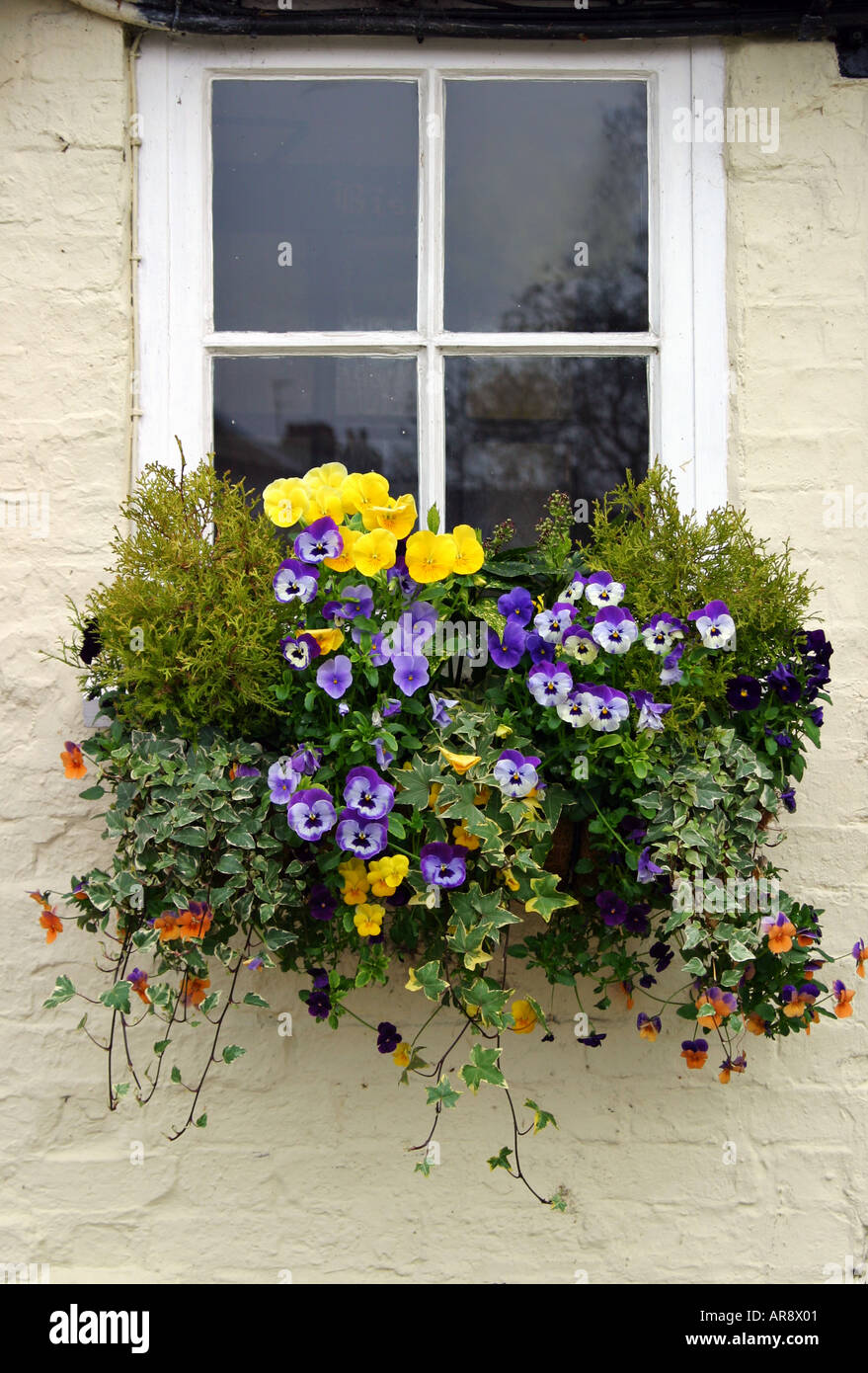 Attractive decorative window display hi-res stock photography and ...