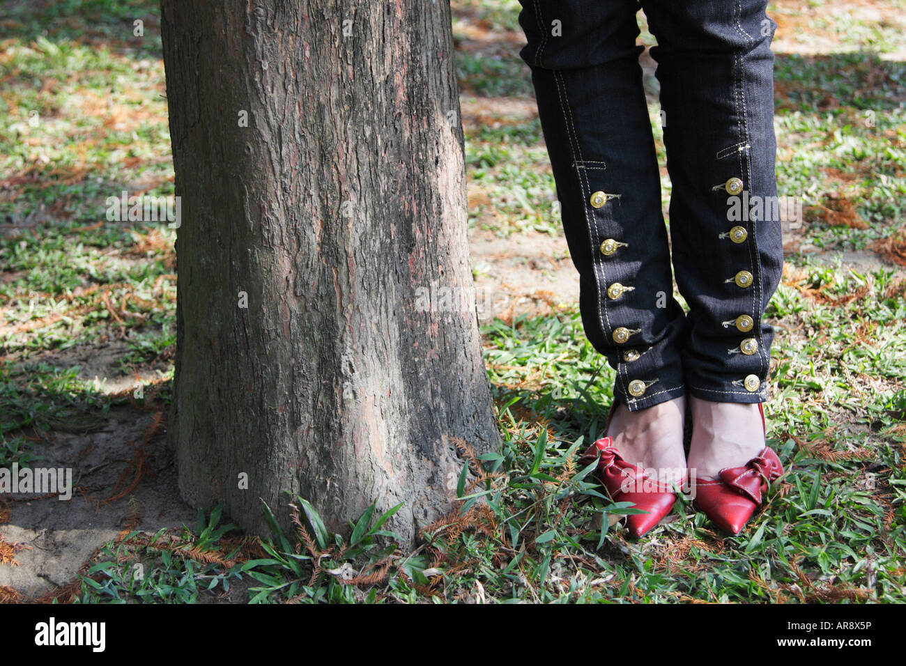 Woman's Legs Next To Tree Trunk Stock Photo - Alamy
