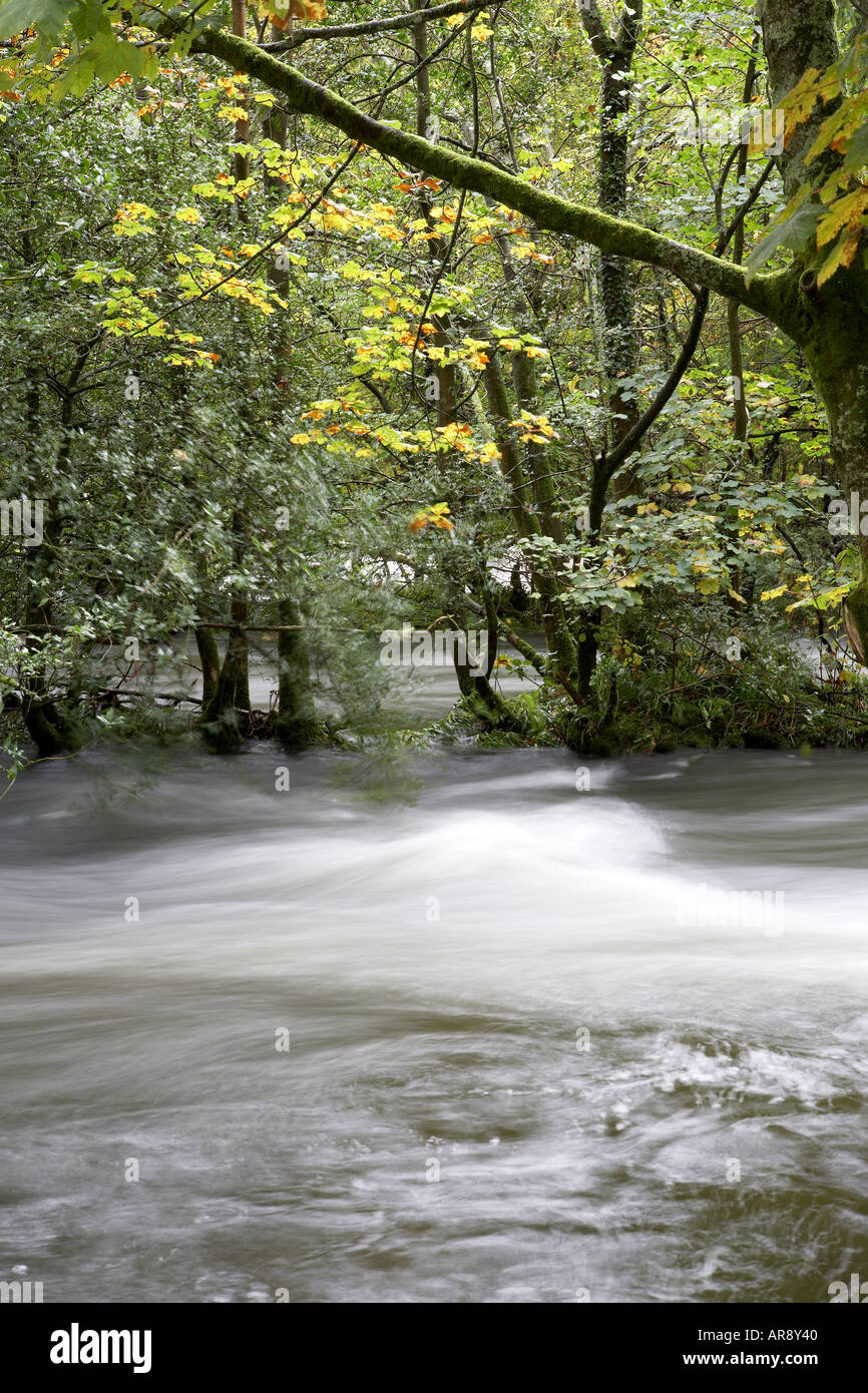 Autumn flood water at Skelwith Bridge in the Lake District, Cumbria, UK ...
