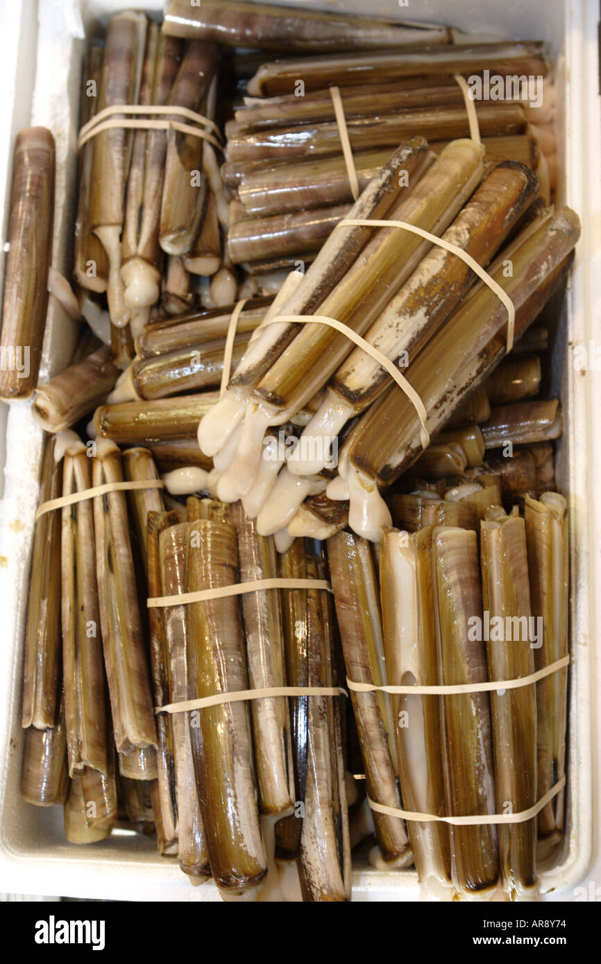 razor clams fish market seafood omega 3 fishmonger produce food healthy ...