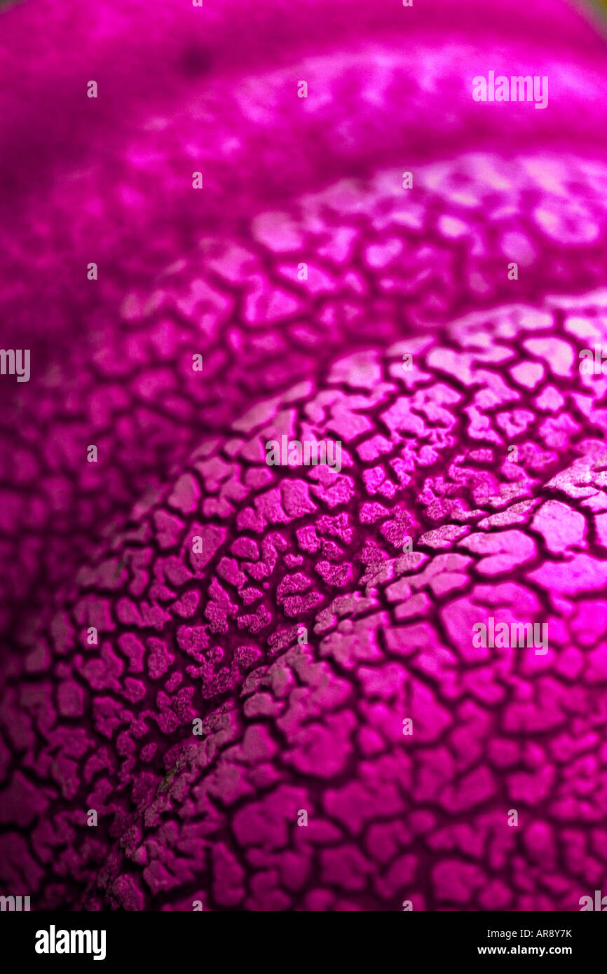 Abstract rubber Decay Stock Photo - Alamy