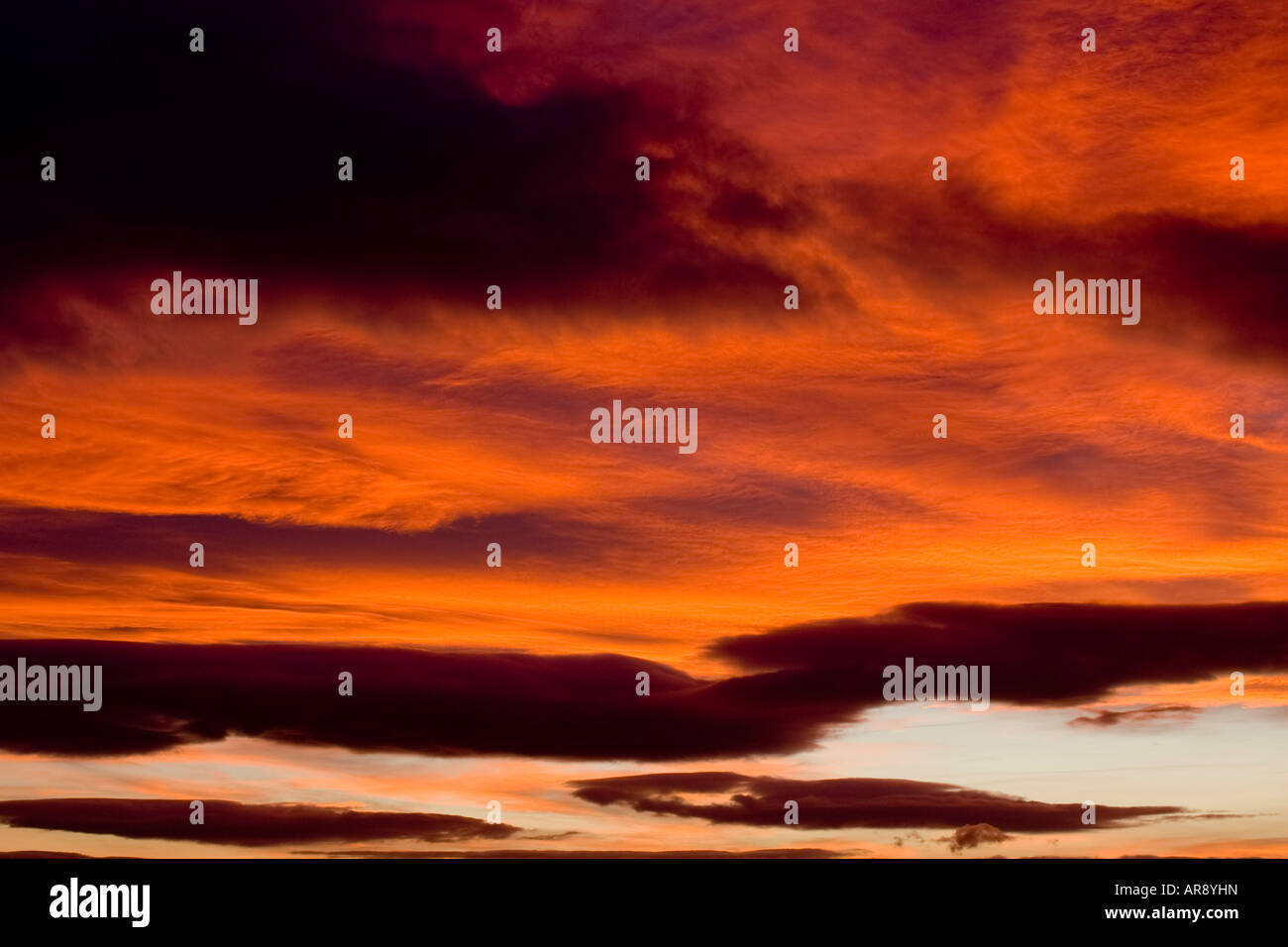 Golden colour of sunset hi-res stock photography and images - Alamy