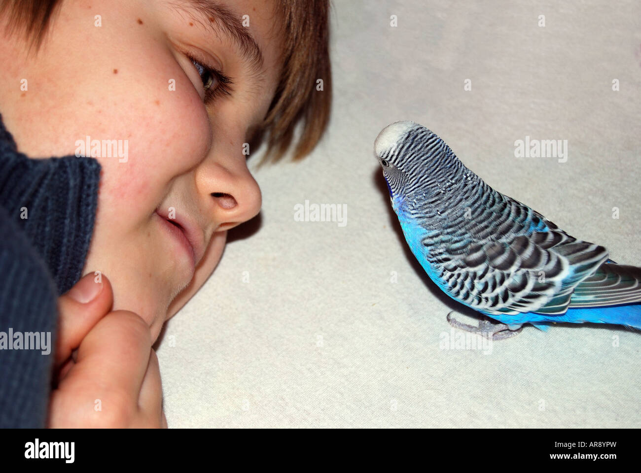 Boy in a game with his parrot Stock Photo - Alamy