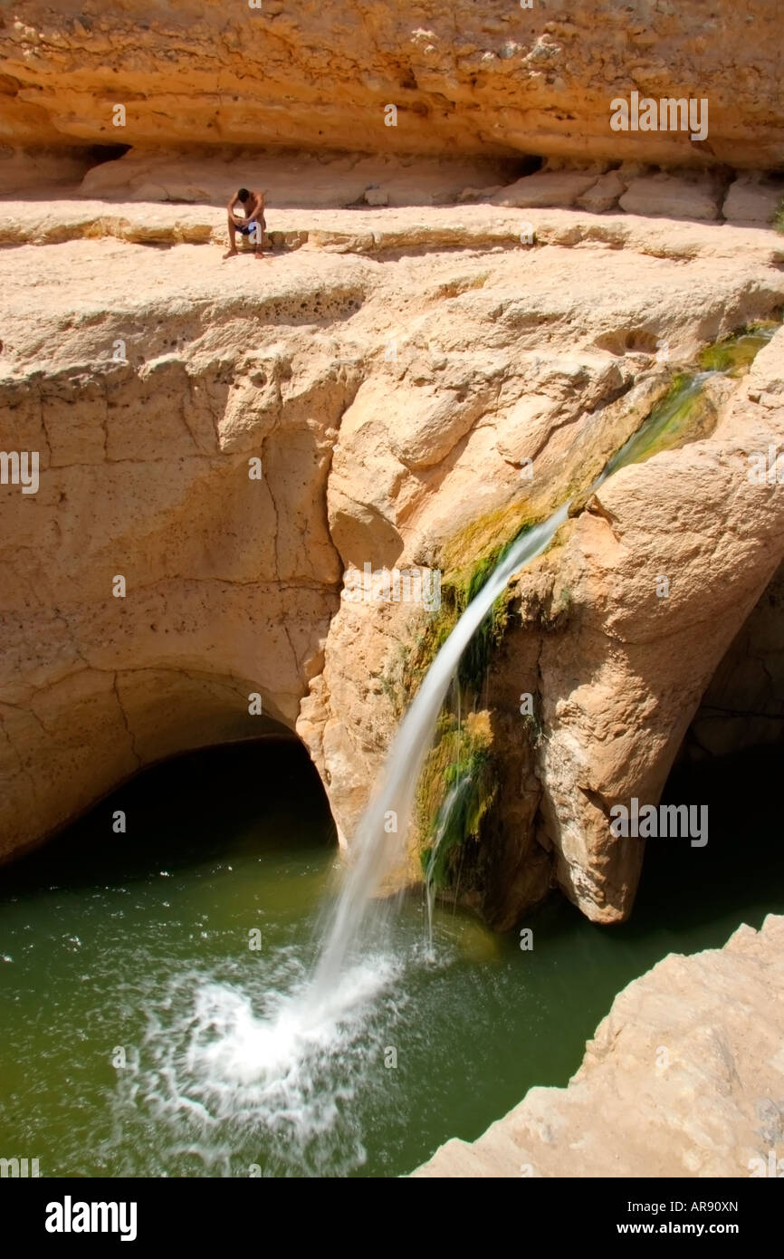 tunisian oasis in desert with green drinking water and waterfall Stock ...