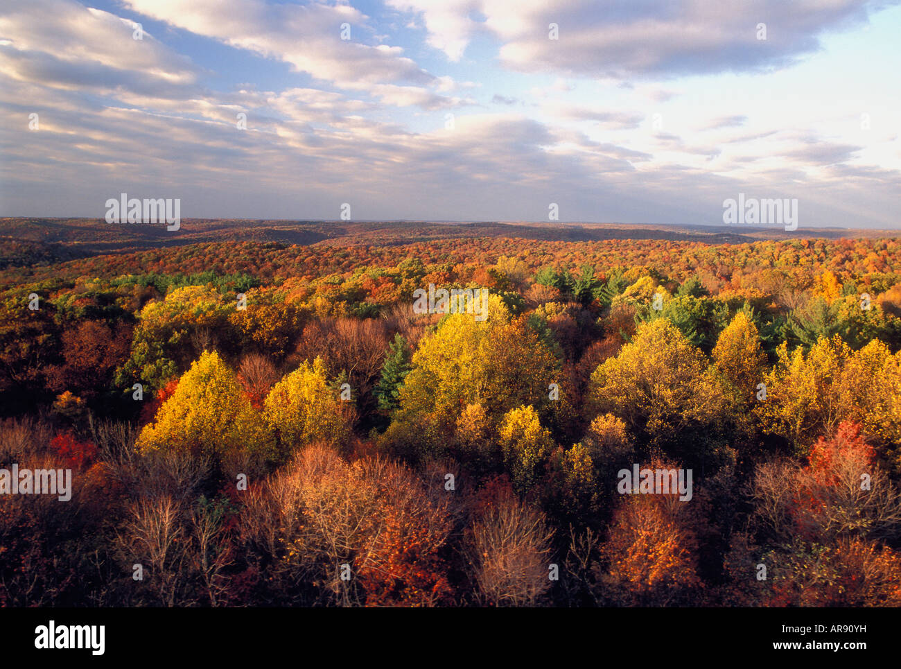 Autumn Forest O'Bannon Woods State Park Indiana Stock Photo - Alamy