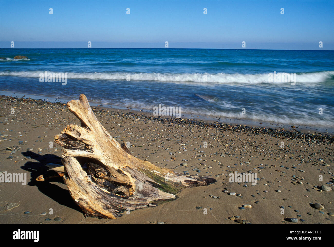 Driftwood on Lake Michigan Beach at Indiana Dunes National Lakeshore ...