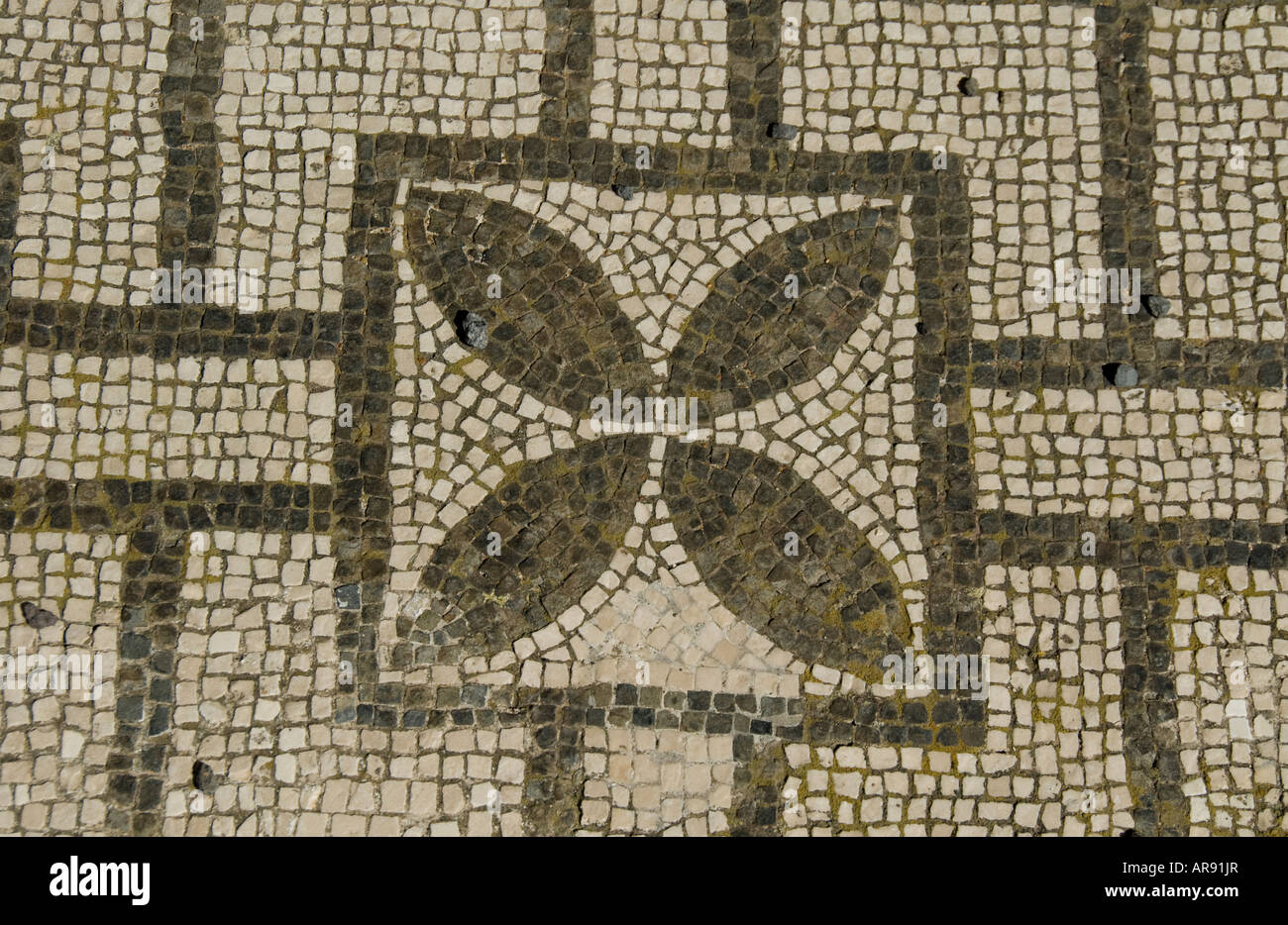 Mosaic Tile, Pompeii Stock Photo - Alamy
