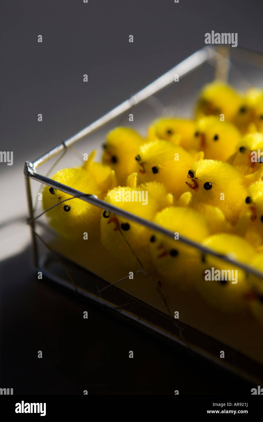 Army of Toy Chicks in a Chicken wire cage Stock Photo - Alamy
