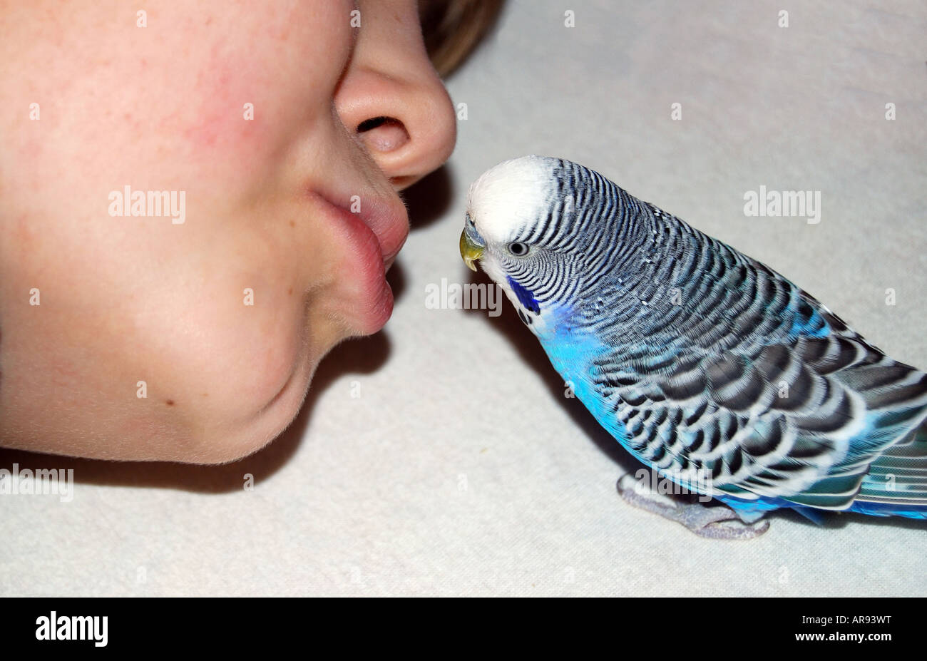 Boy in a game with his parrot Stock Photo - Alamy