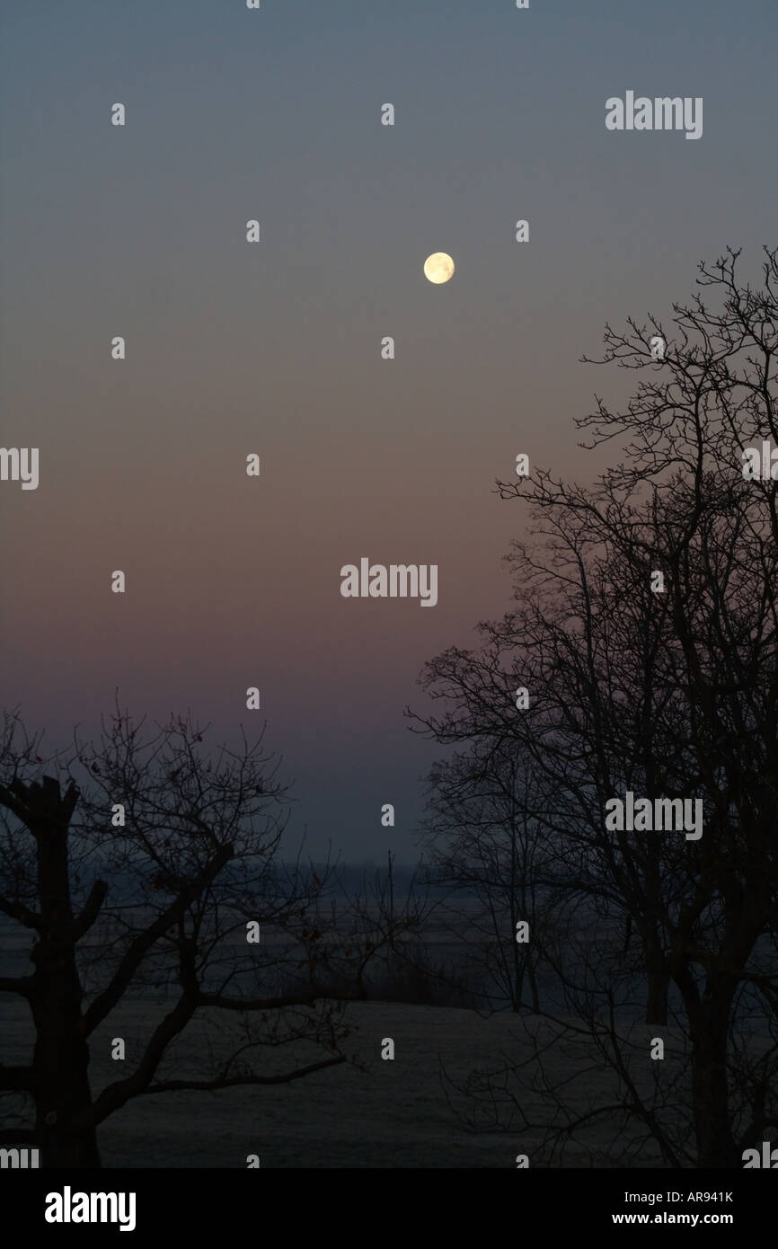 Moon in morning hi-res stock photography and images - Alamy