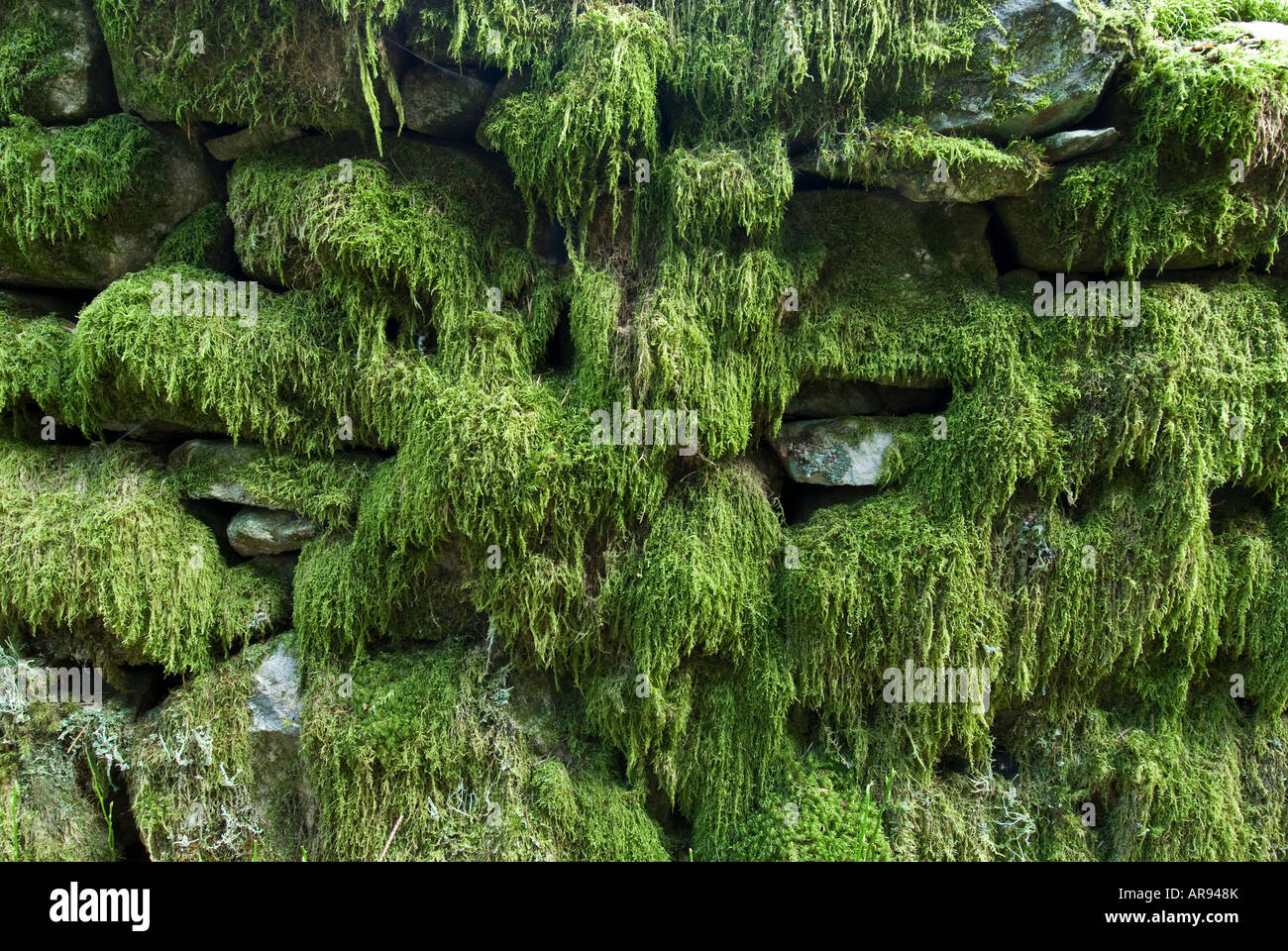 Mossy stone wall hi-res stock photography and images - Alamy