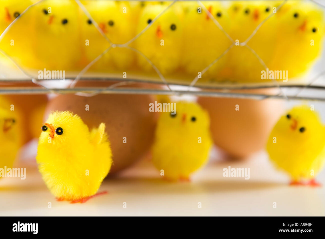 Toy Easter Chicks with eggs and a chicken wire cage Stock Photo - Alamy