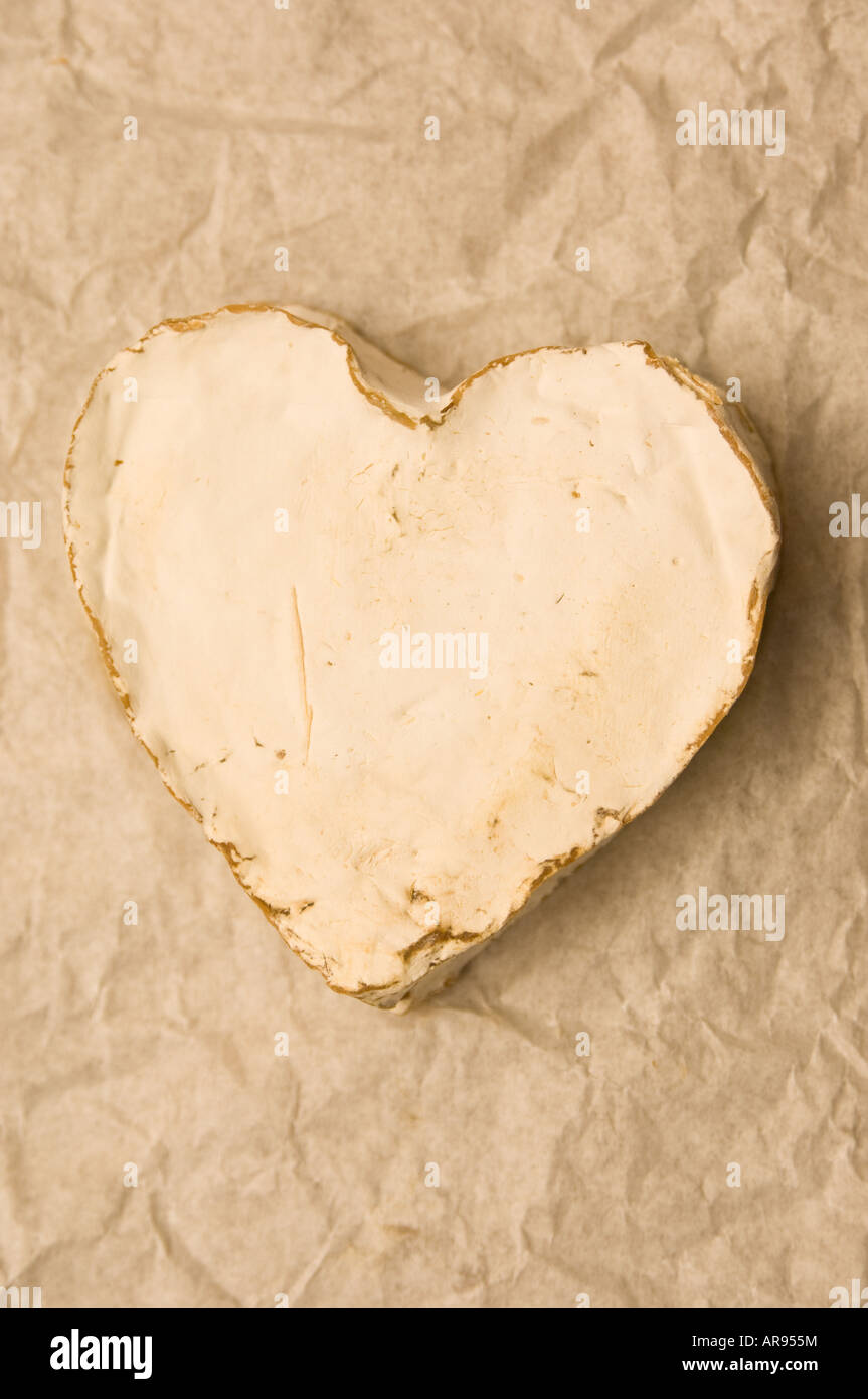coeur de neufchatel - heart shaped soft french cheese white background ...