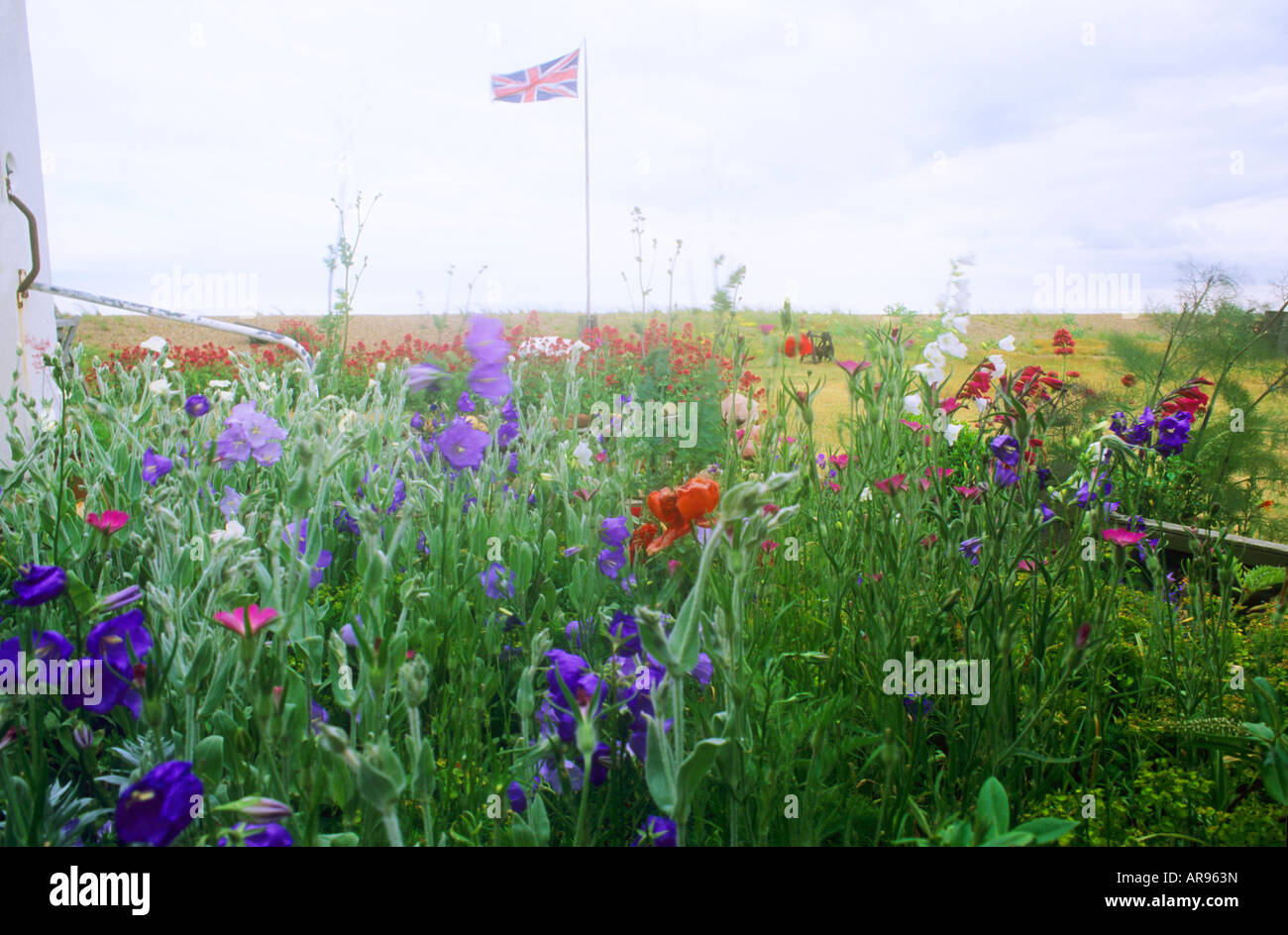 Seaside Beach Garden red white blue flowers flag Union Jack plants ...