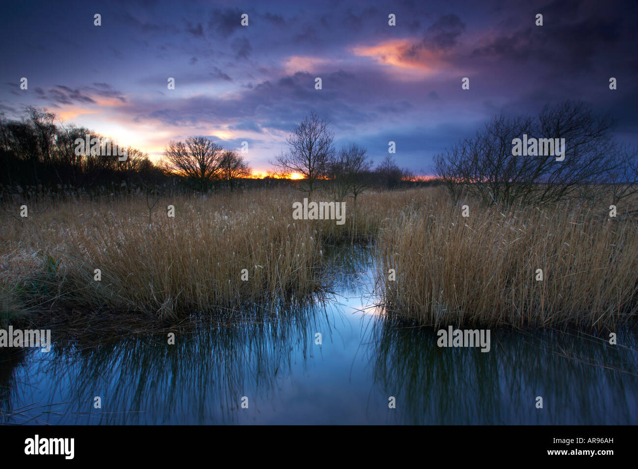 Hickling reserve hi-res stock photography and images - Alamy