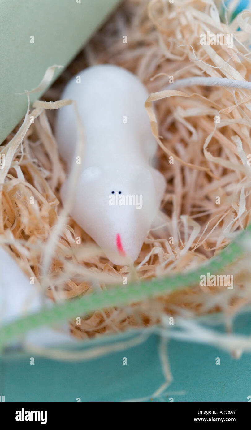 White sugar mouse in a green gift box Stock Photo - Alamy