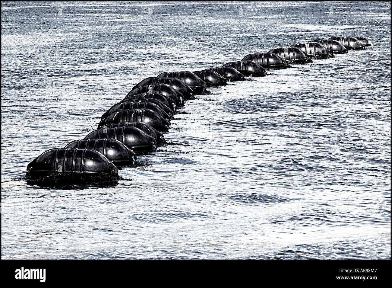 Mussel Farm, Fal River Stock Photo - Alamy