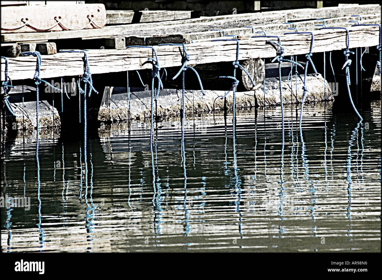 Mussel Farm, Fal River Stock Photo - Alamy