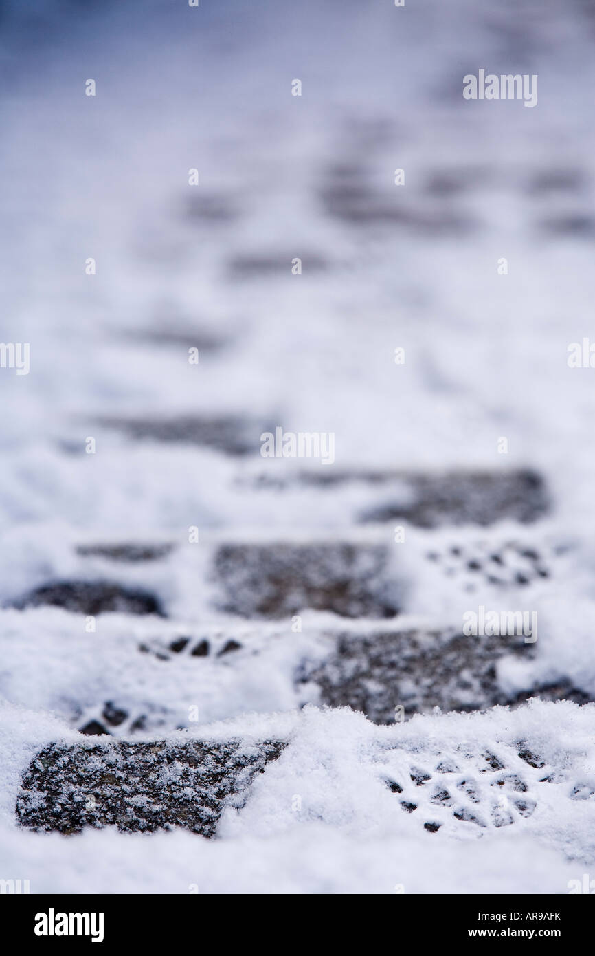 Footsteps on snow covered stairway Seattle Washington Stock Photo - Alamy