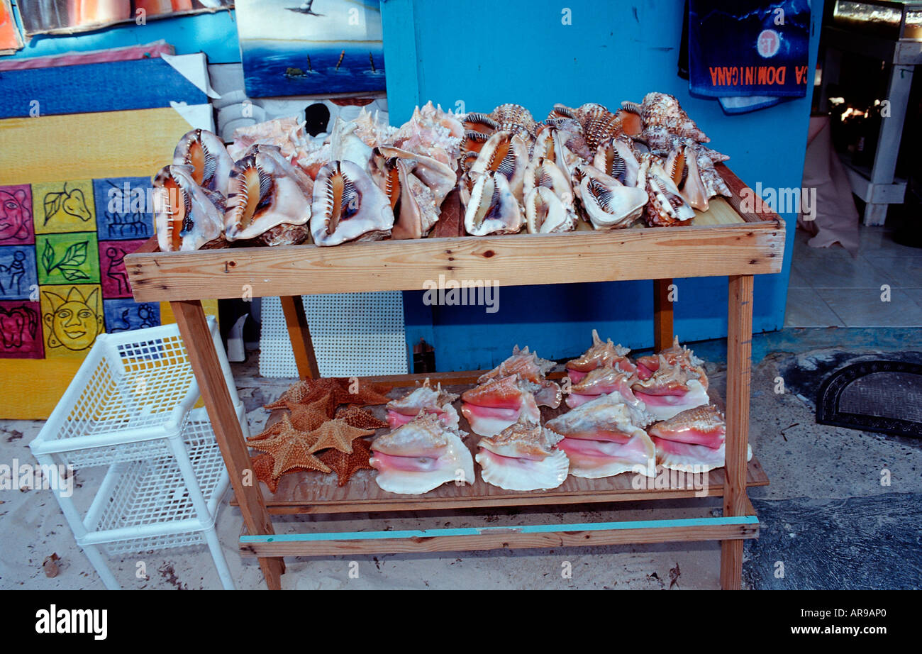 Mussels and snail shells as souvenir Punta Cana Caribbean Dominican ...