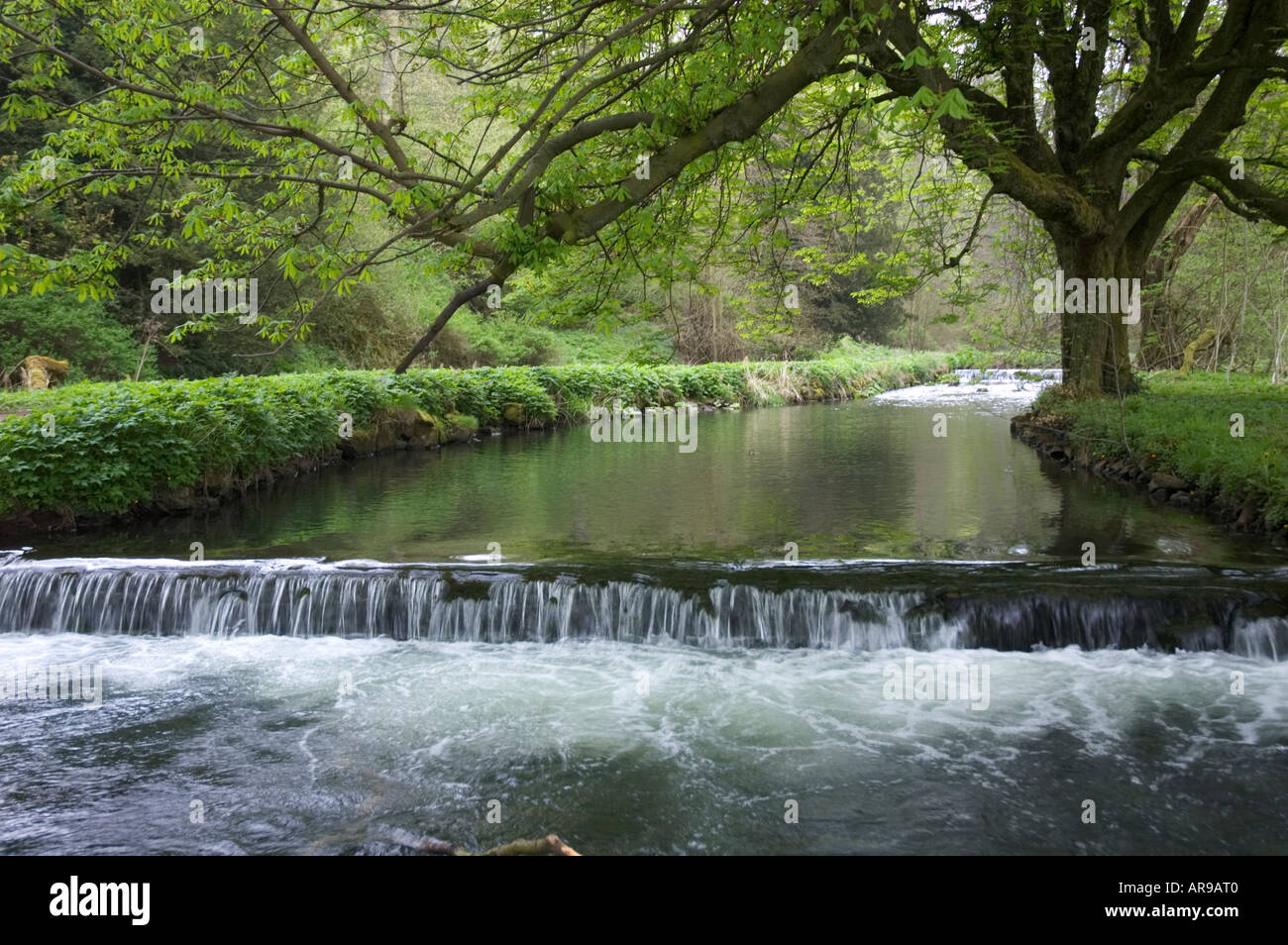 Image of a small weir in a river in the Derbyshire countryside England ...