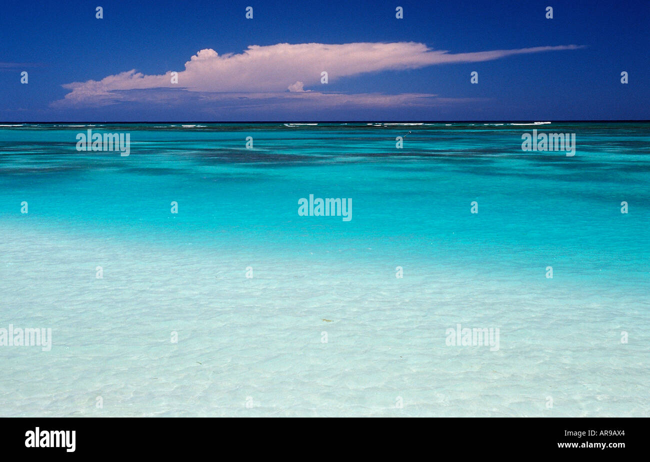 Turquoise blue sea Punta Cana Caribbean Dominican Republic Stock Photo ...