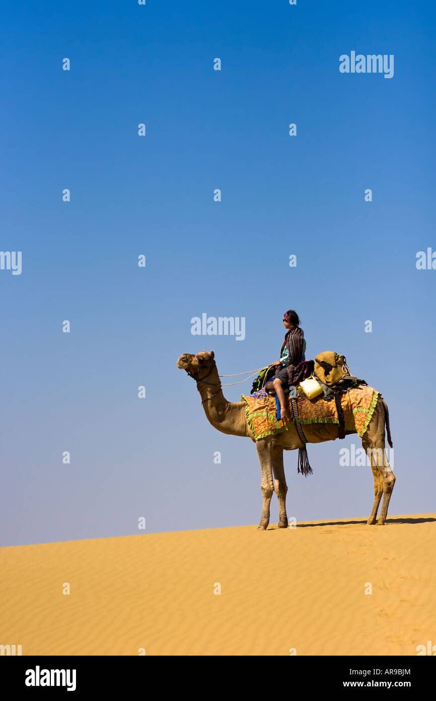 Riding a camel on a sand dune - Thar desert, Rajasthan, India Stock ...