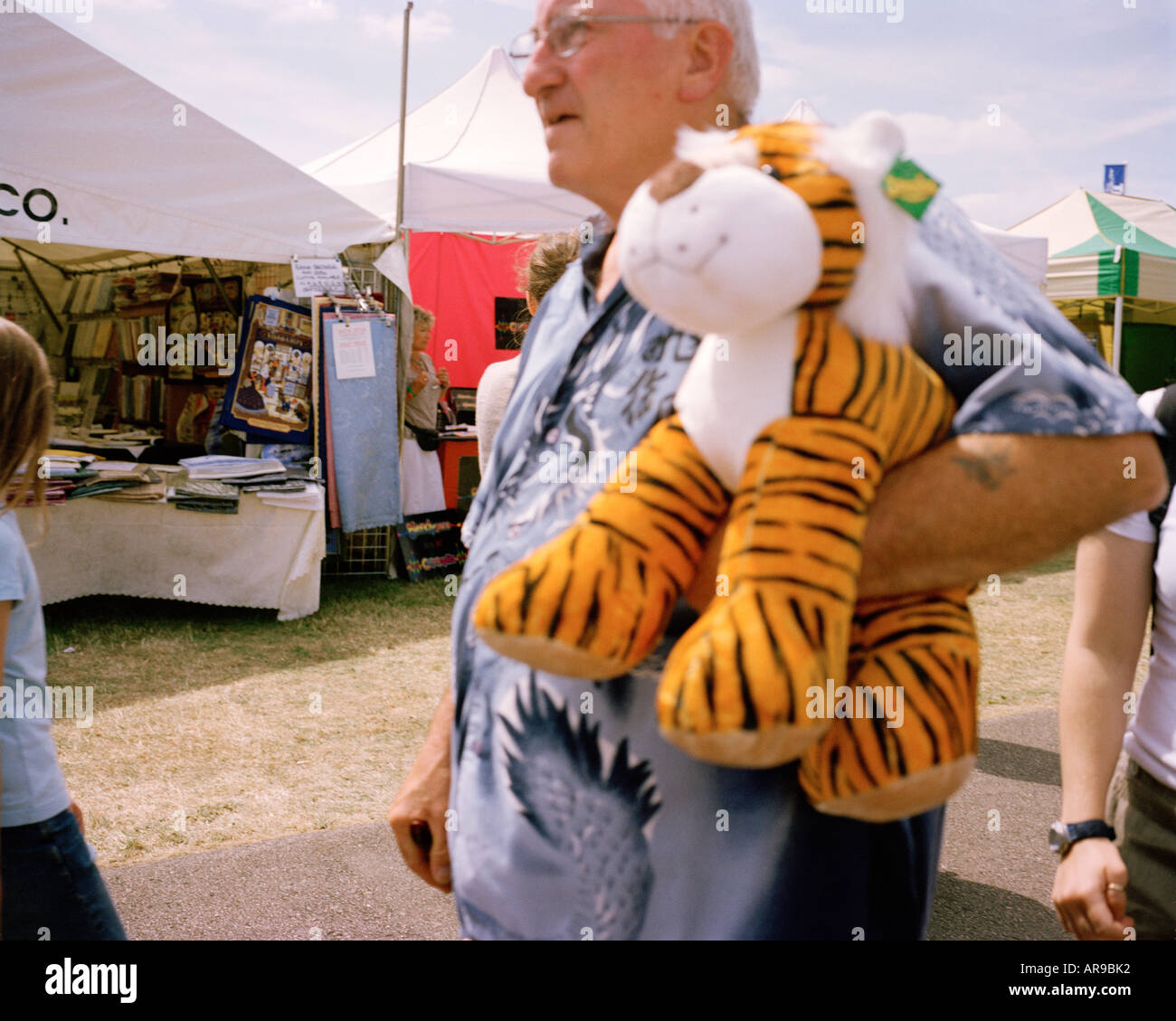 Walking tiger toy hi-res stock photography and images - Alamy