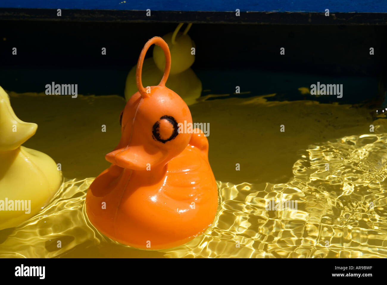 Image of a Hook a Duck stall at a country fair Stock Photo - Alamy