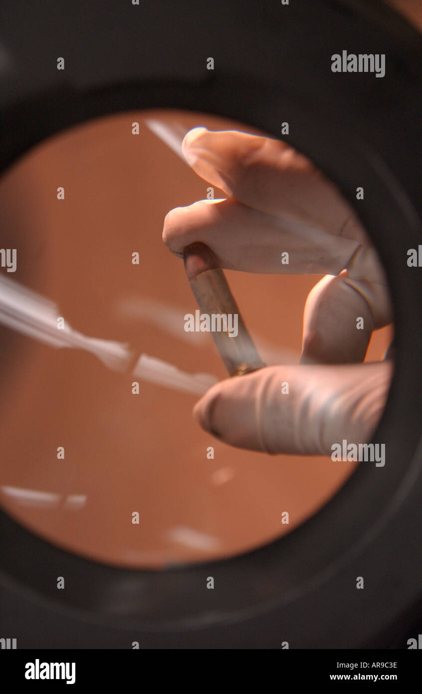 Police forensics examiner using technology to catch criminals Stock ...
