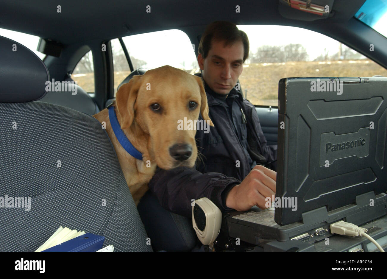 Canine bomb detection hi-res stock photography and images - Alamy
