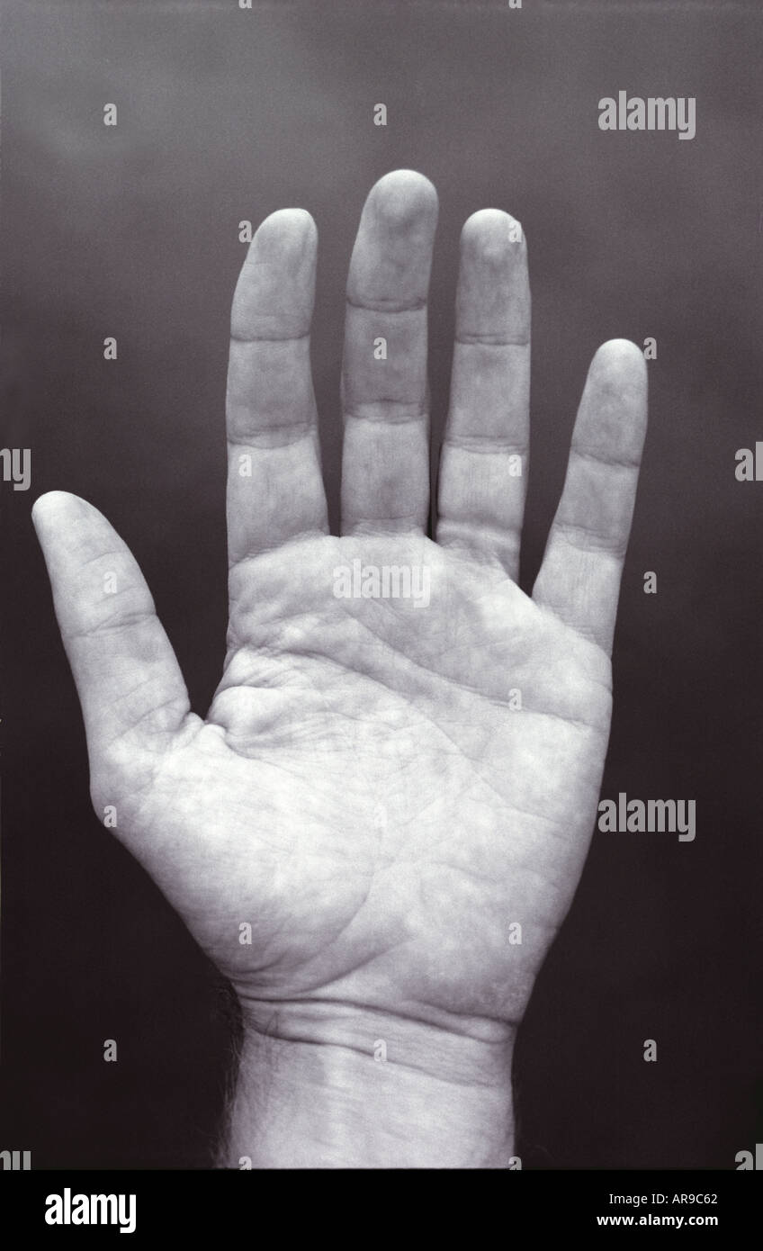 A human hand single Stock Photo - Alamy