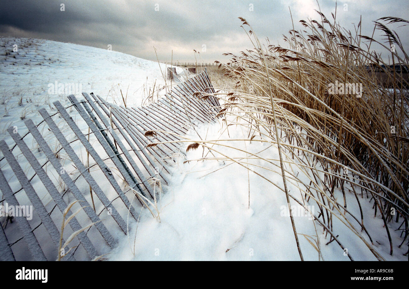 Snow on beach in winter Cape Cod Mass USA Stock Photo - Alamy