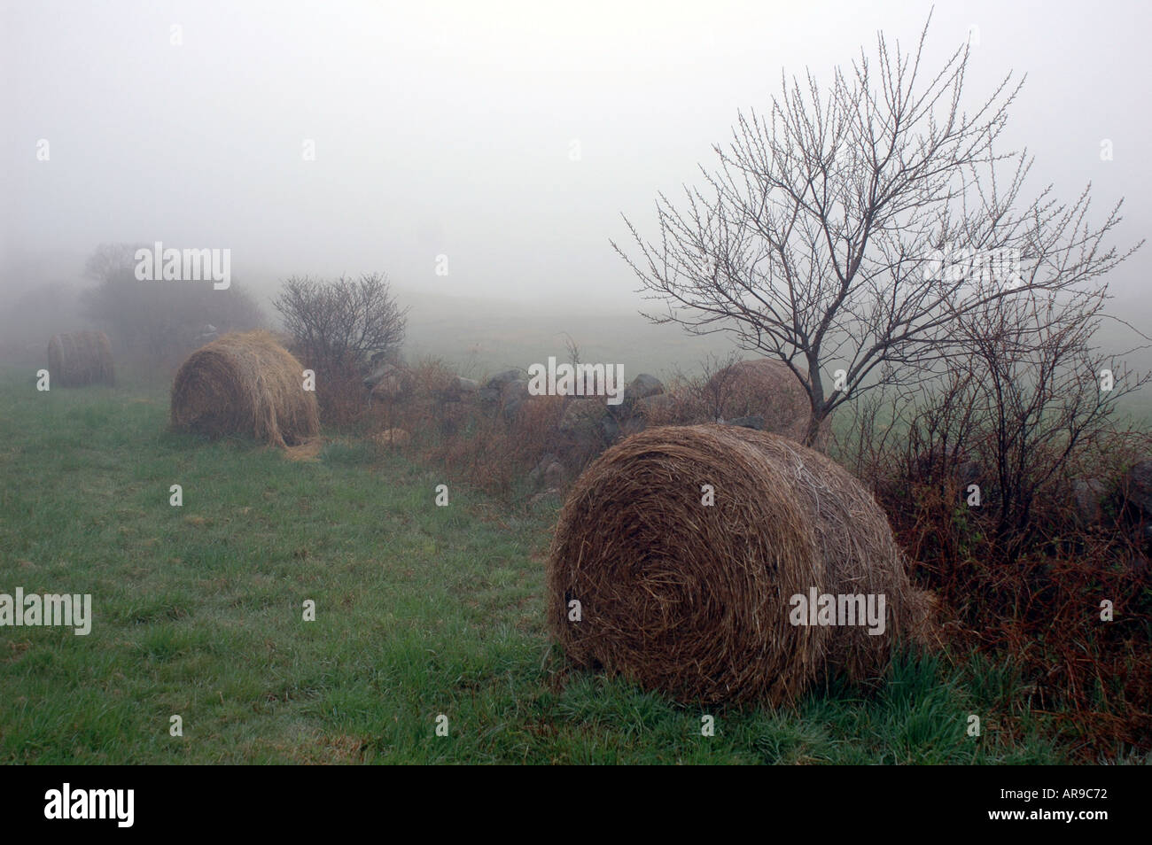 Misty farm land Block Island Rhode Island USA RI Stock Photo - Alamy