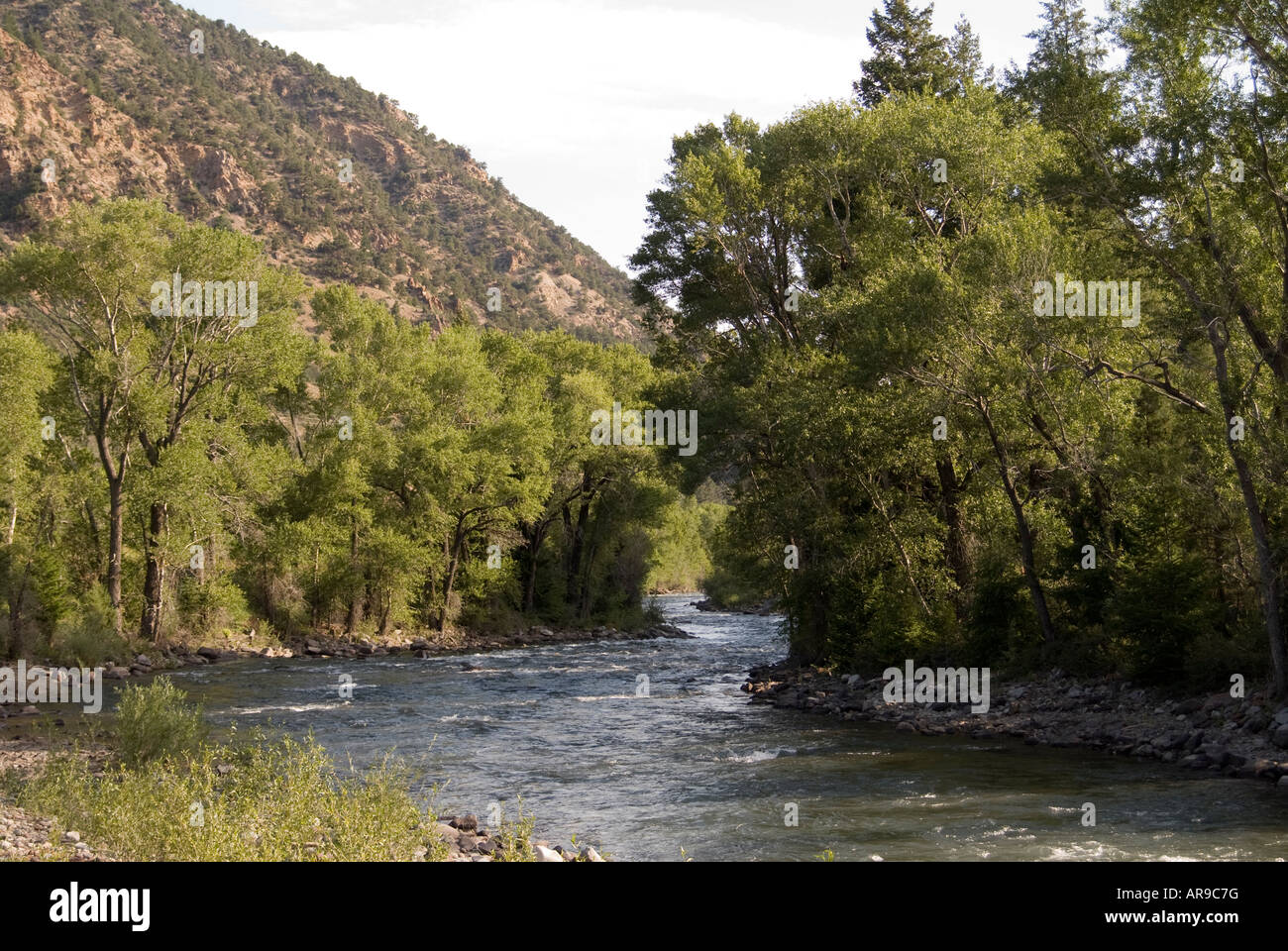 The Fryingpan River Roaring Fork Valley Colorado Stock Photo - Alamy