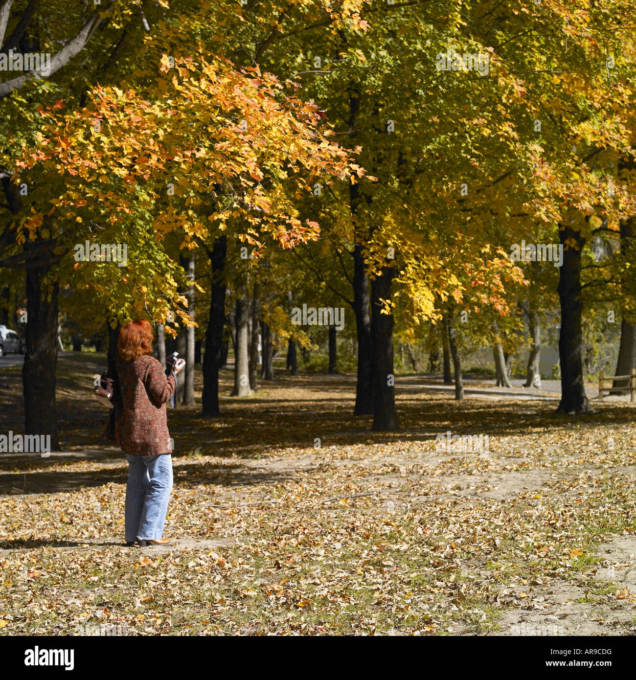 Woman stands under the tree Stock Photo - Alamy