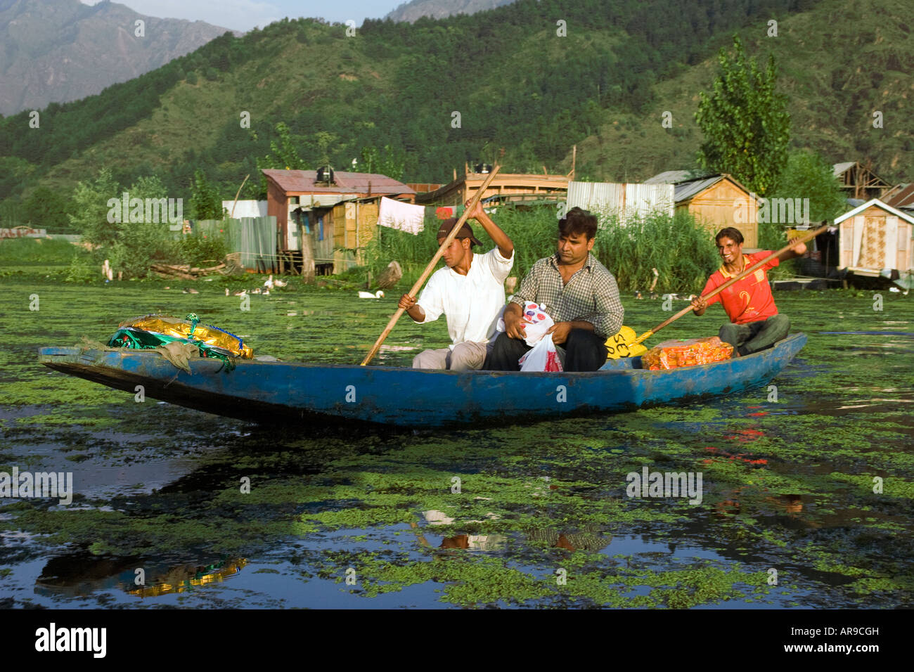 Shikara on Dal Lake, Srinagar Stock Photo - Alamy