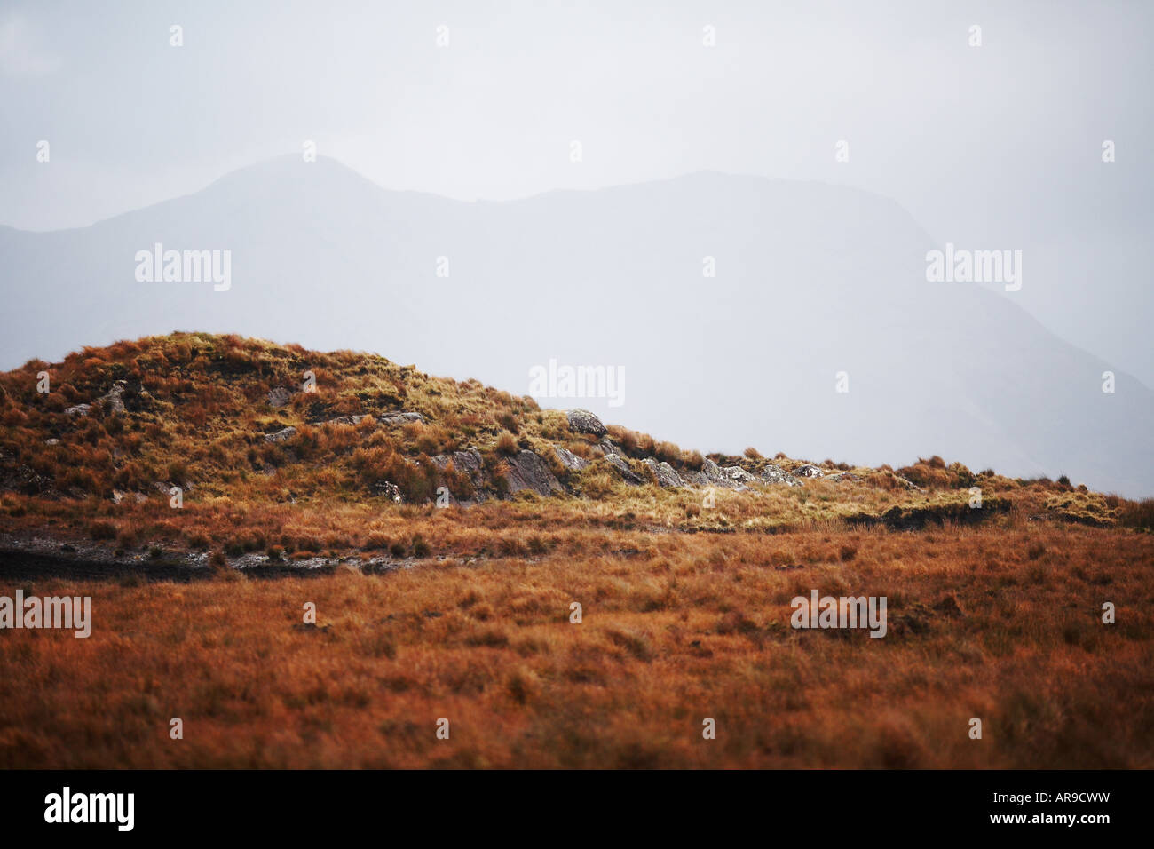 Peat or Turf Bog in Connemara County Galway Republic of Ireland Europe ...