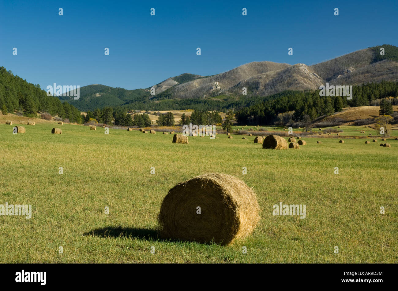 Judith Mountains High Resolution Stock Photography and Images - Alamy