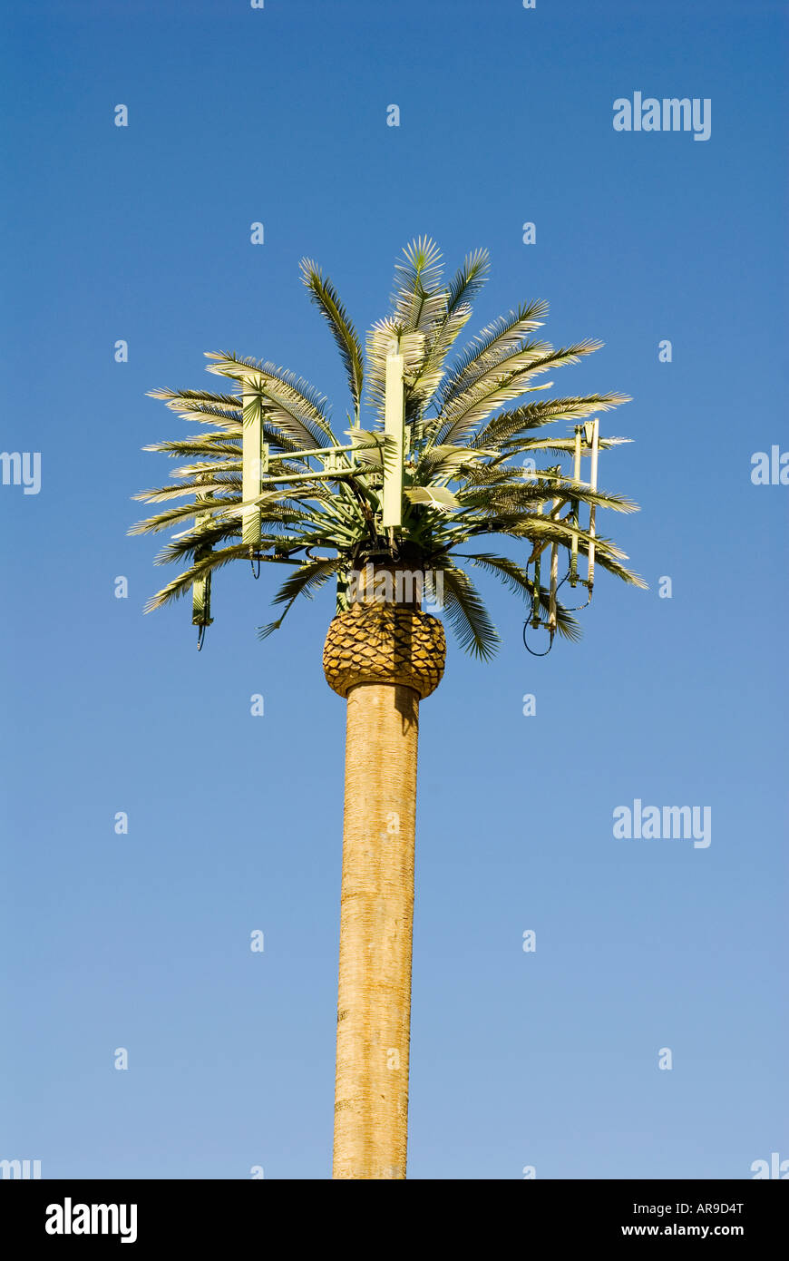 cell phone cellular broadcast tower disguised palm tree ...