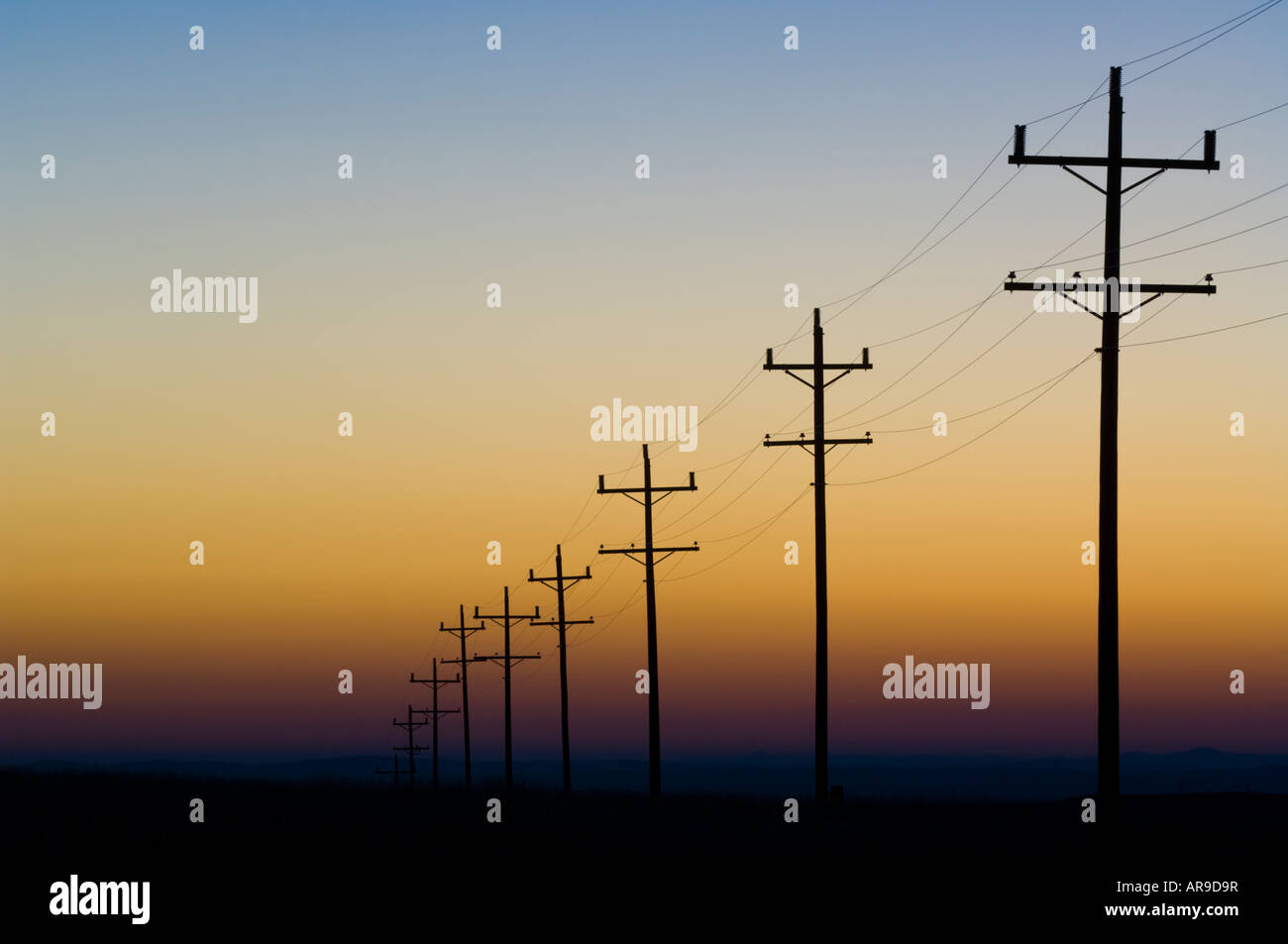 Row of power lines against dawn sky Stock Photo - Alamy