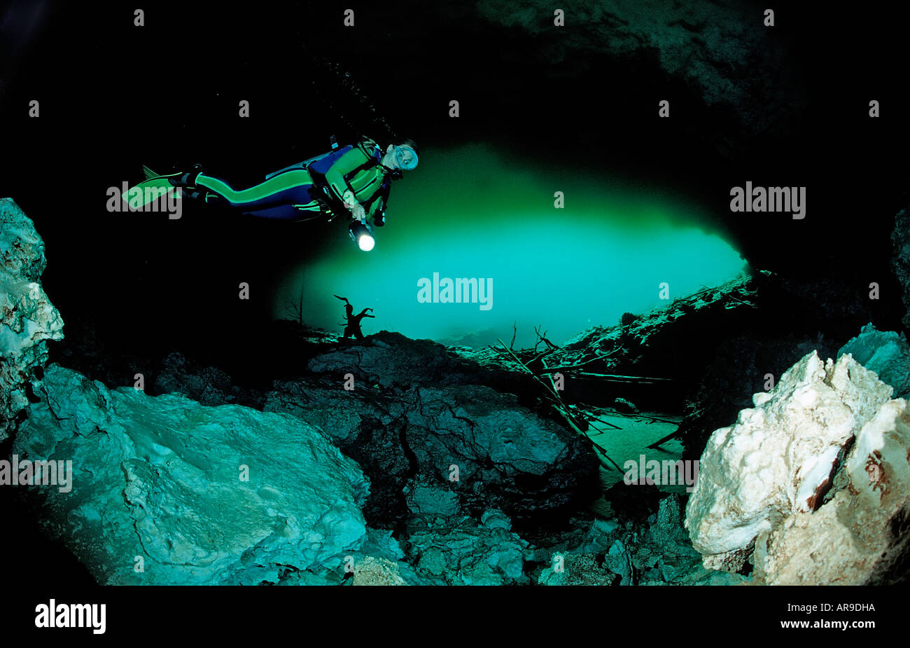 Scuba diver in underwater cave Laguna Pepe Punta Cana Freshwater ...