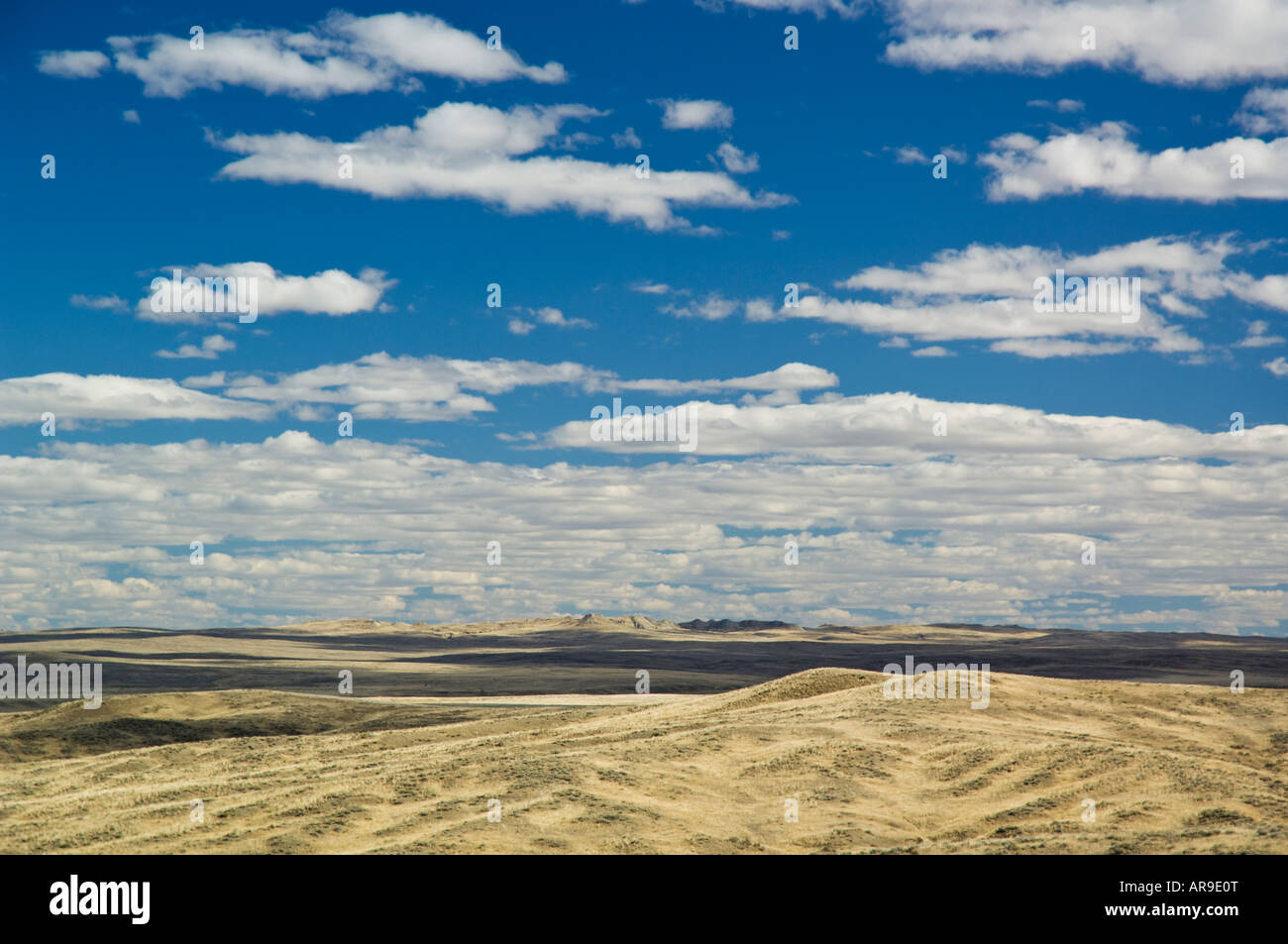 Melstone hi-res stock photography and images - Alamy