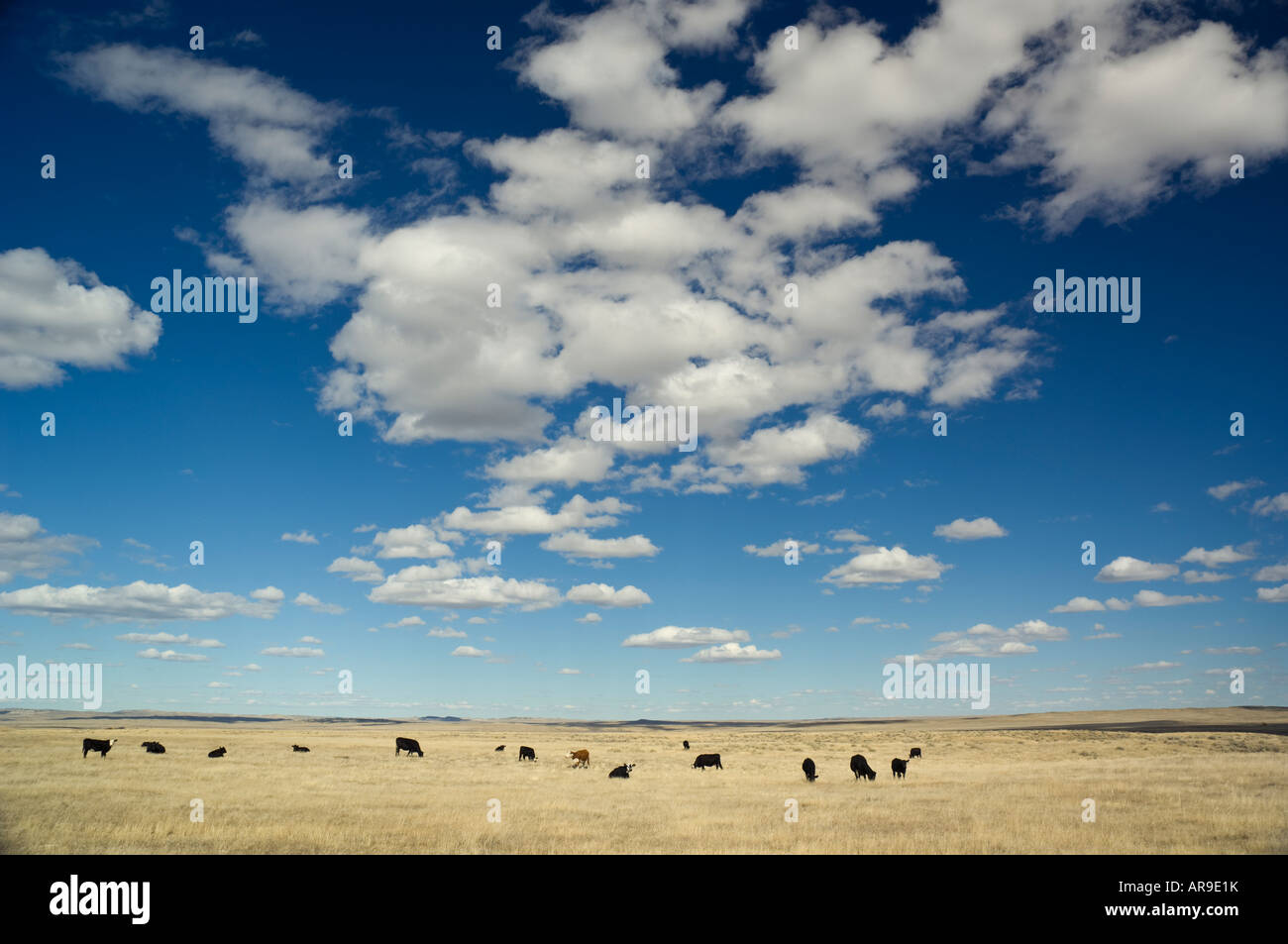Open country in the Musselshell Valley between Mosby and Melstone MT ...