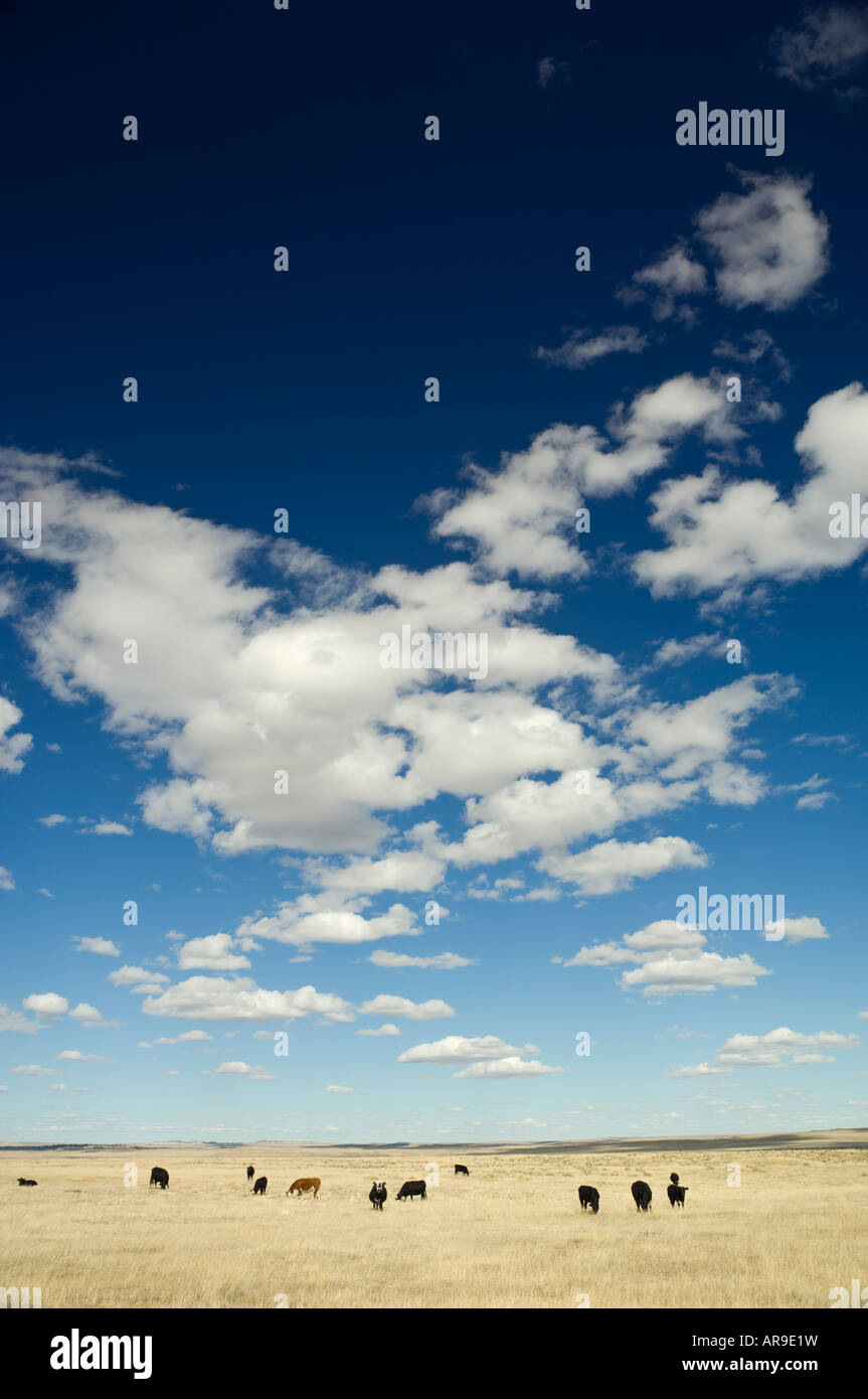 Melstone hi-res stock photography and images - Alamy