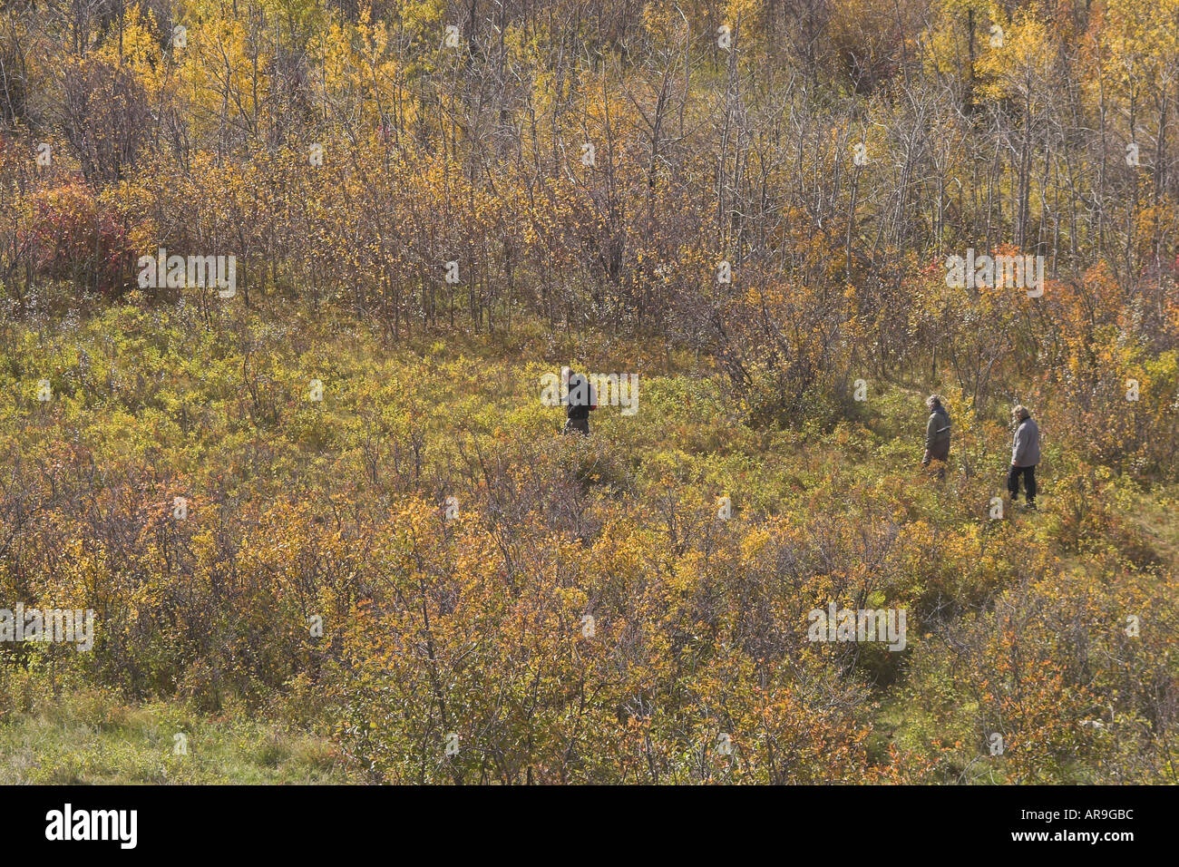 Hiking in Fall Stock Photo - Alamy