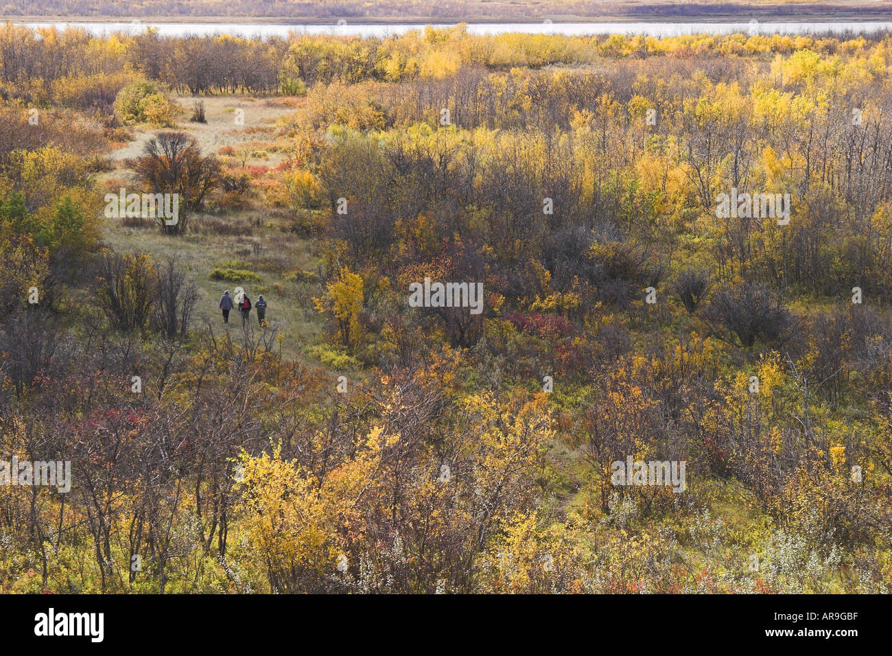 Hiking in Fall Stock Photo - Alamy