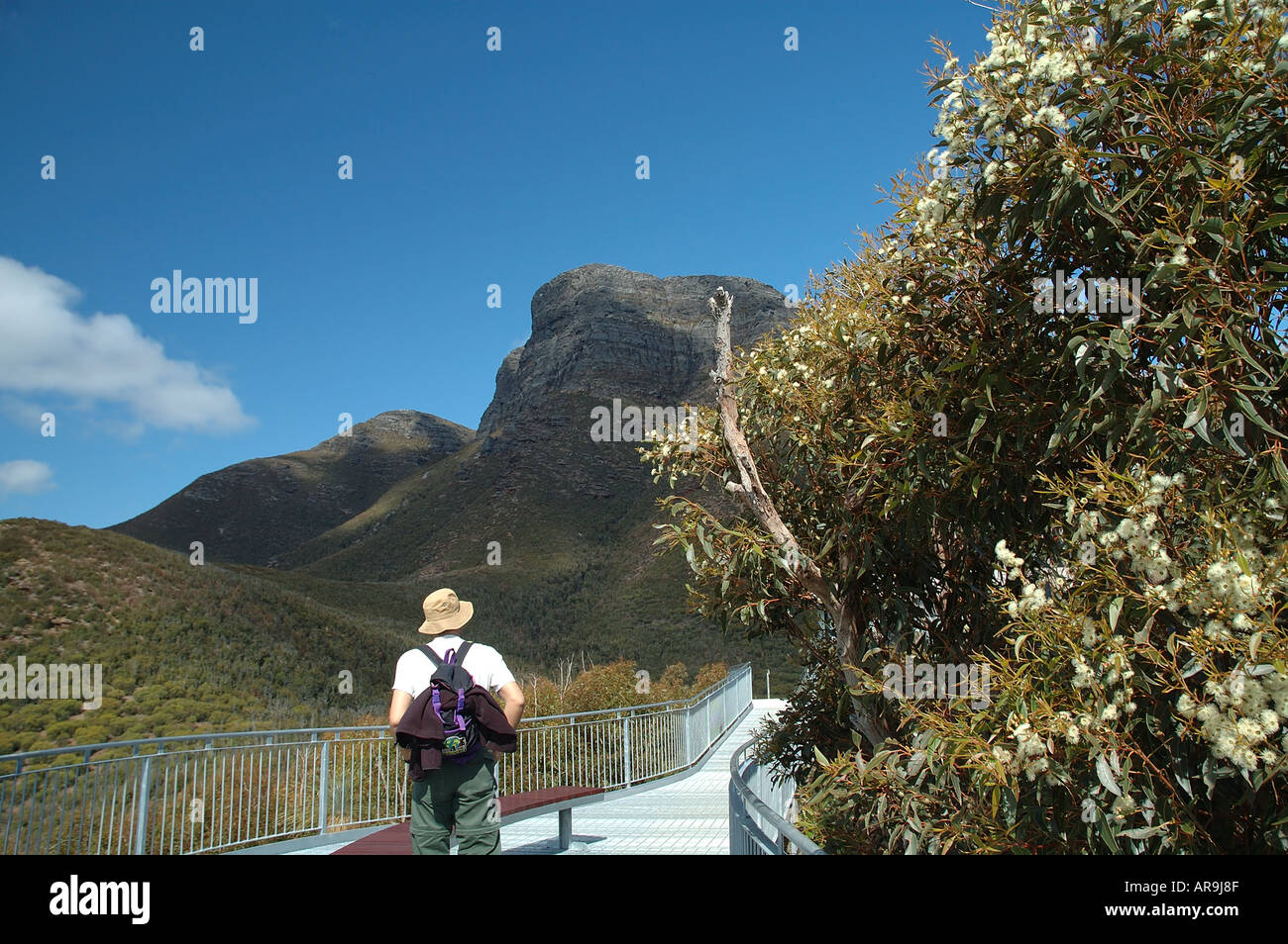 Bushwalker starting on the trail up Bluff Knoll the highest peak of ...
